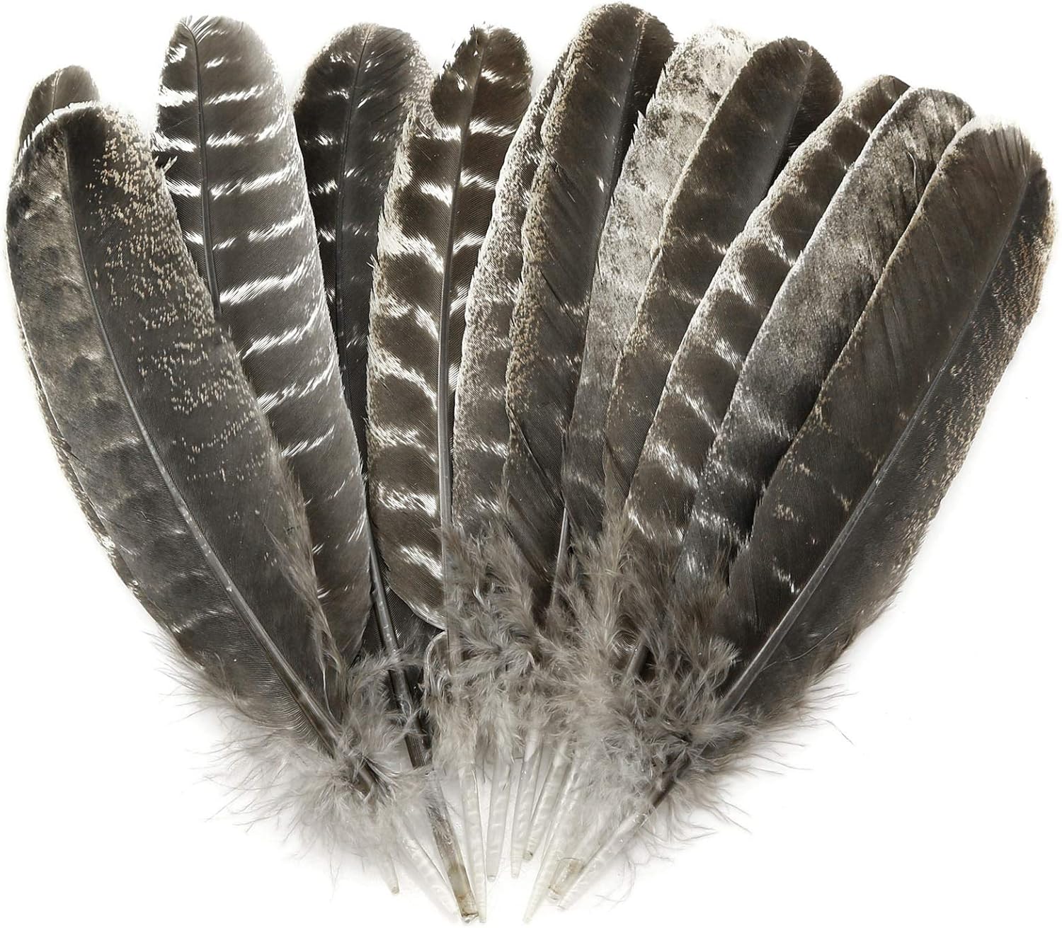 Amazon.com: ZZHXSM 12pcs Natural Turkey Feather 8" - 10" for DIY Crafts ...