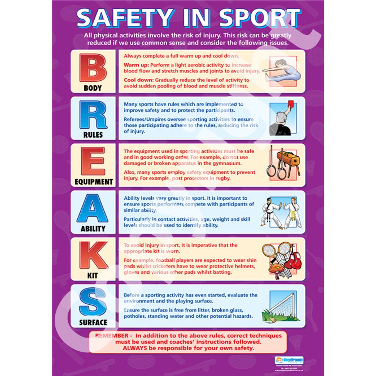 PE Posters for Safe Sports | Laminated Gloss Paper | 33” x 23.5 ...