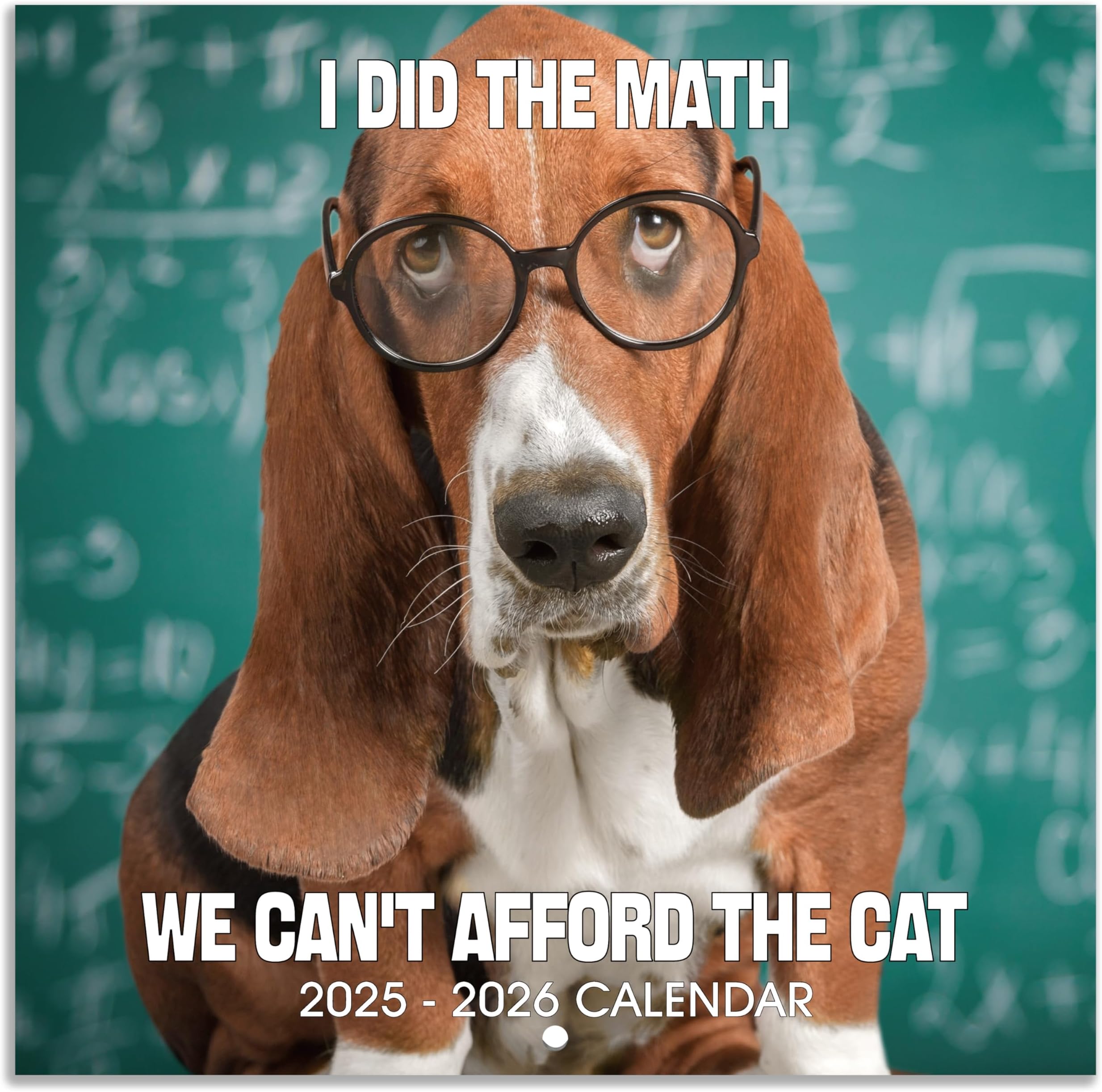 Amazon.com: 2024 Animal Selfies Square Hanging Wall Calendar - No ...