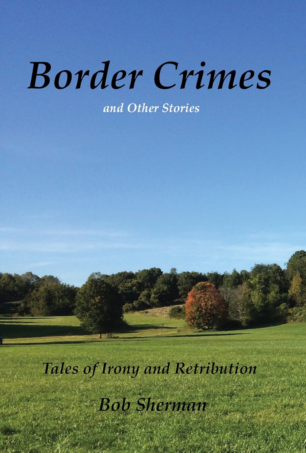 Border Crimes and Other Stories: Tales of Irony and Retribution ...