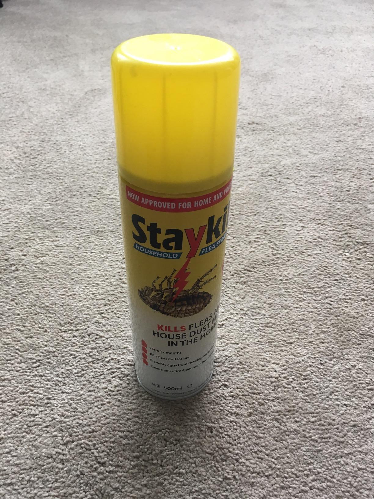Staykil Household Flea Spray, 500ml Aerosol : Amazon.co.uk: Garden