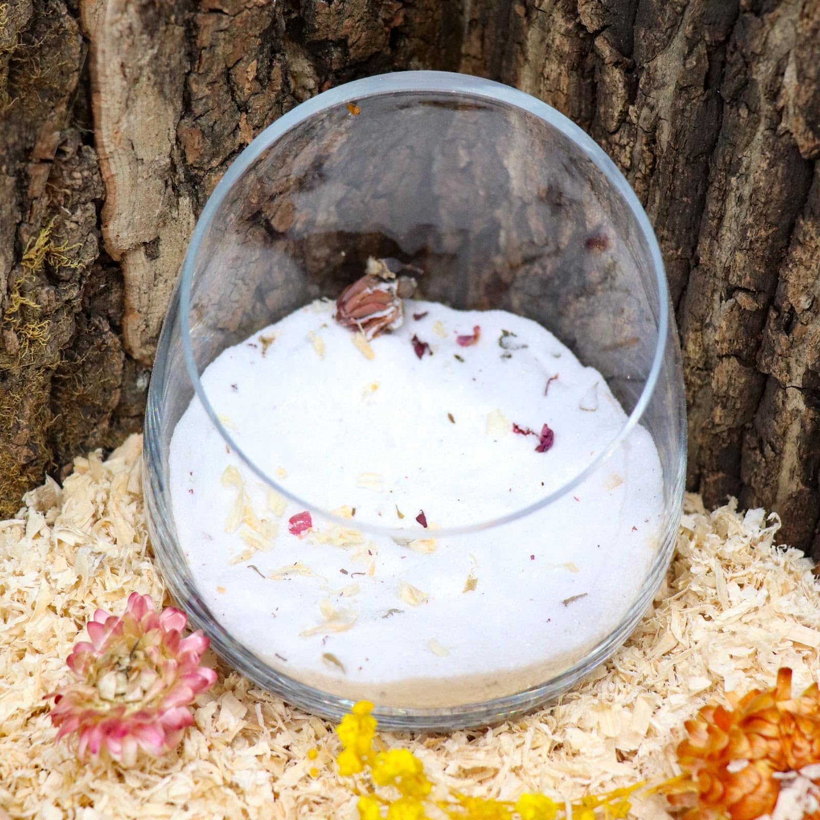 Snapklik.com : Small Animal Sand-Bath Box, Round Glass Small Pet Sand ...
