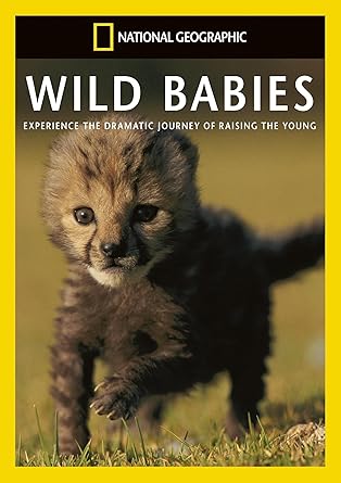 National Geographic: Wild Babies [DVD]: Amazon.co.uk: DVD & Blu-ray