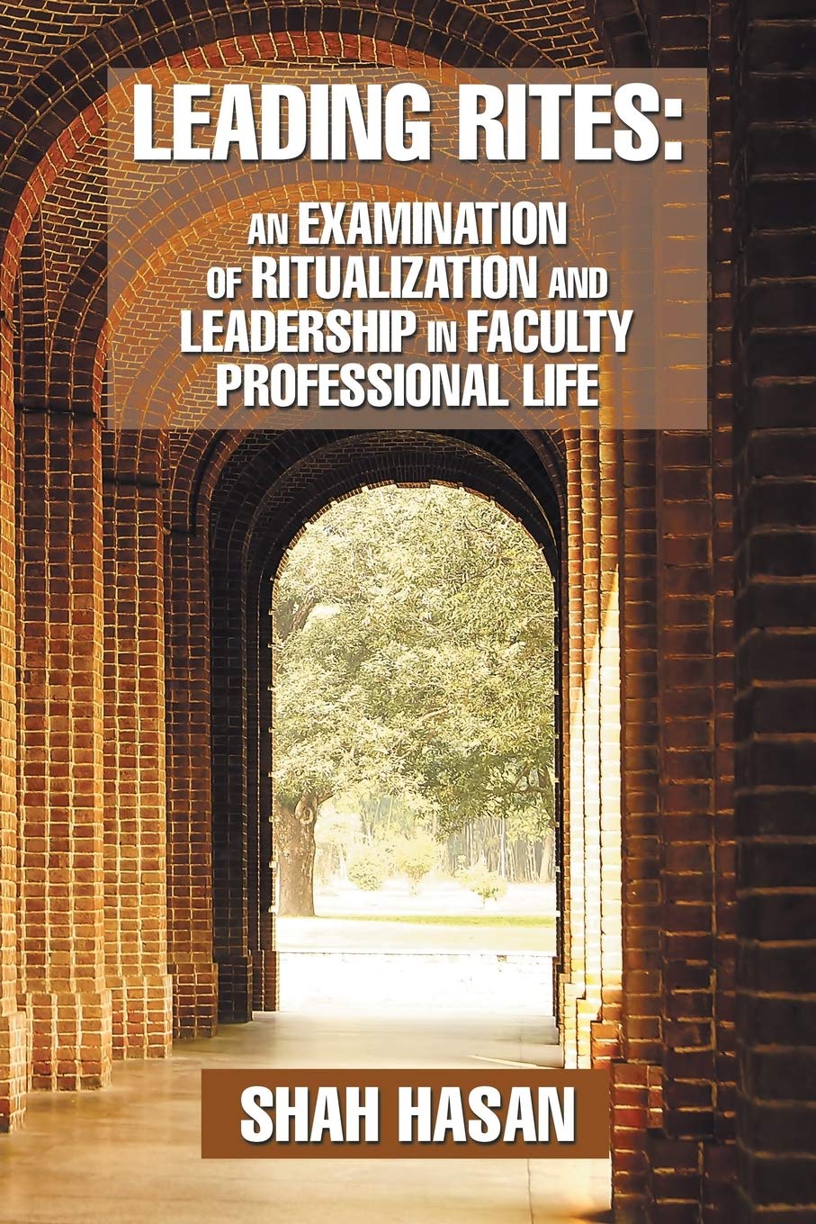Leading Rites: An Examination of Ritualization and Leadership in ...