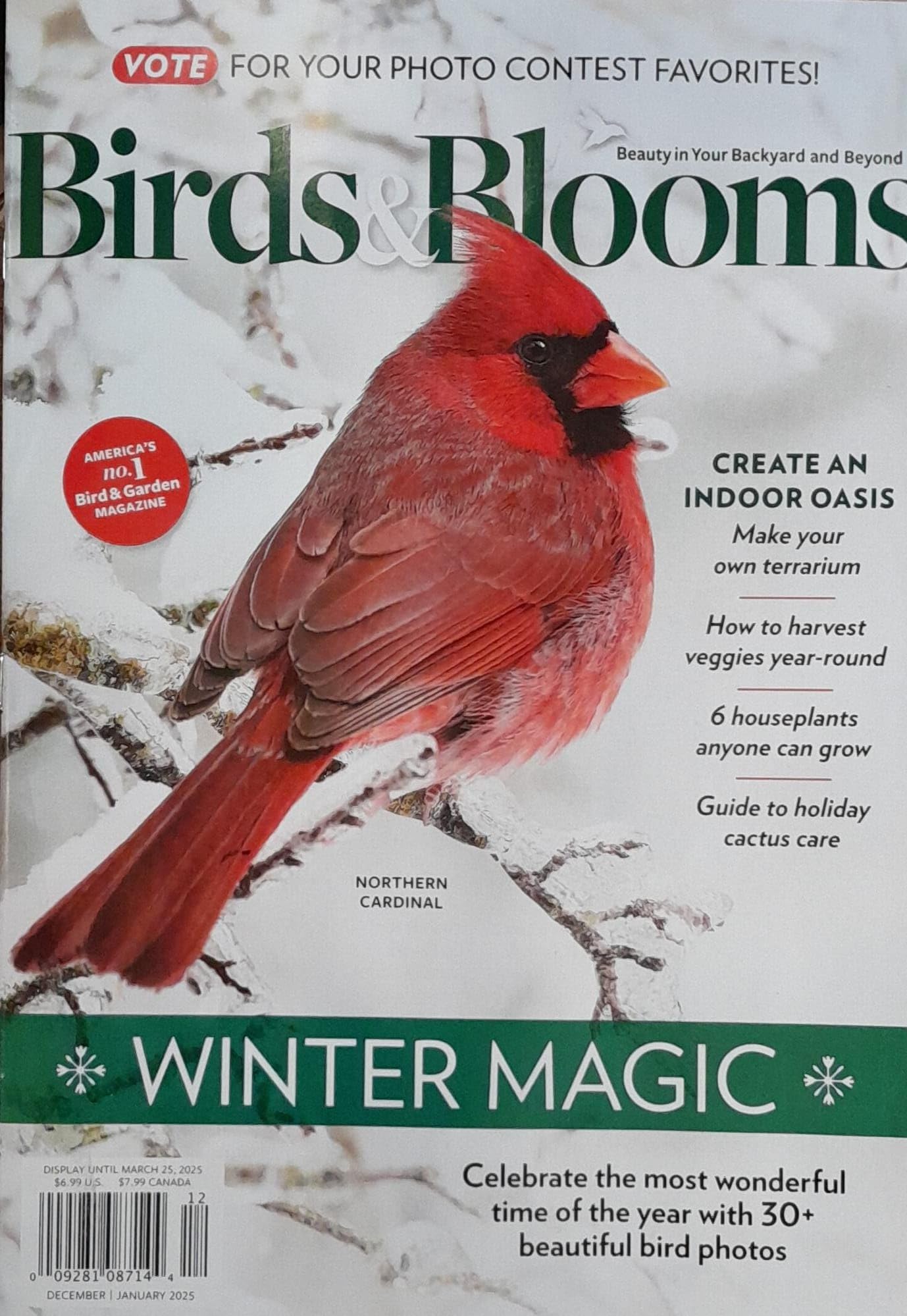 Birds & Blooms Magazine December January 2025 Winter Magic: Birds Magic ...