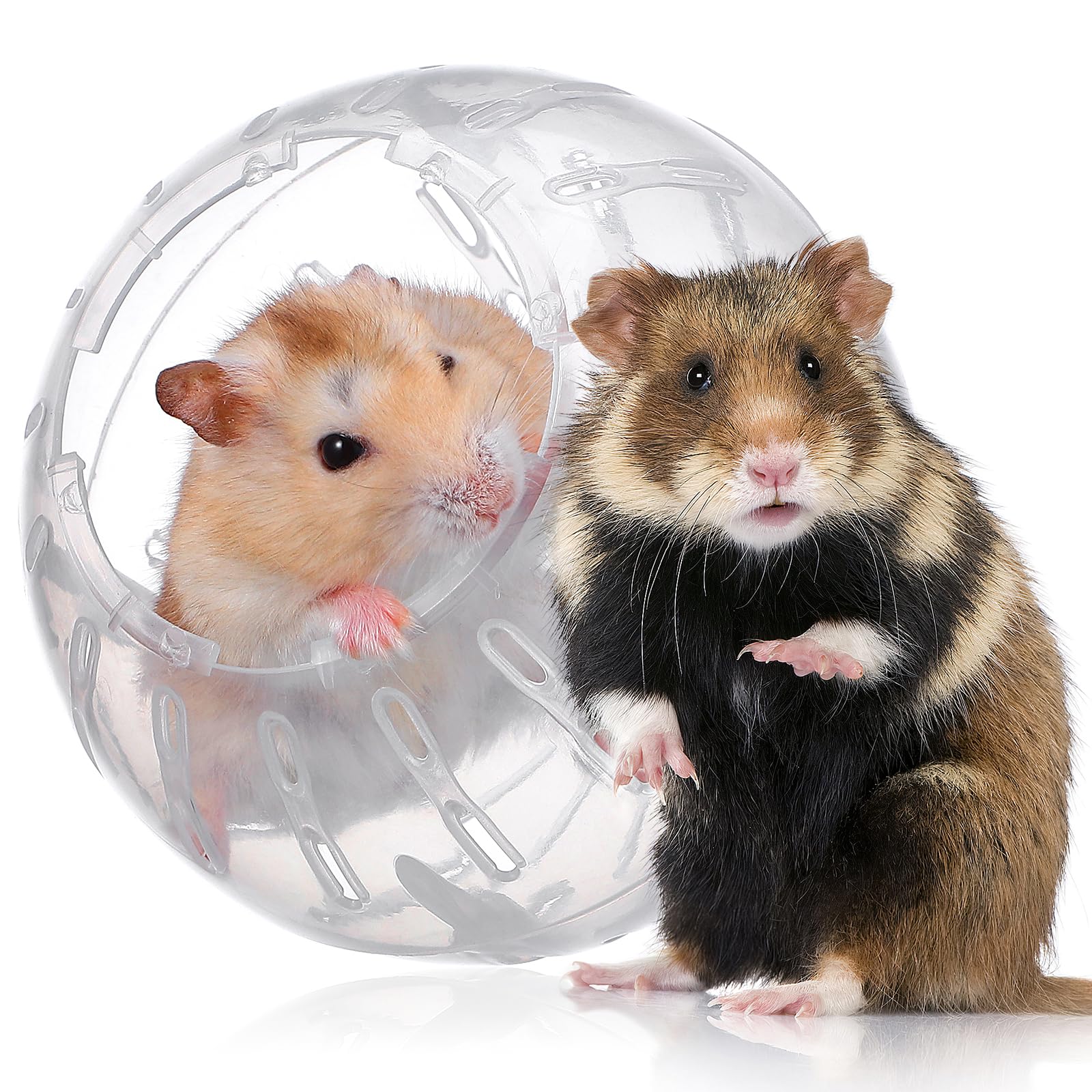 Hamster Ball Clipart