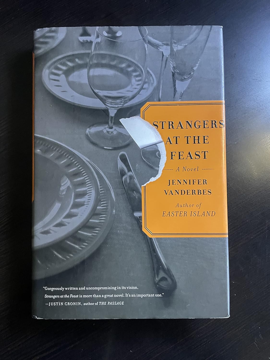Strangers at the Feast: A Novel: Vanderbes, Jennifer: 9781439166956 ...