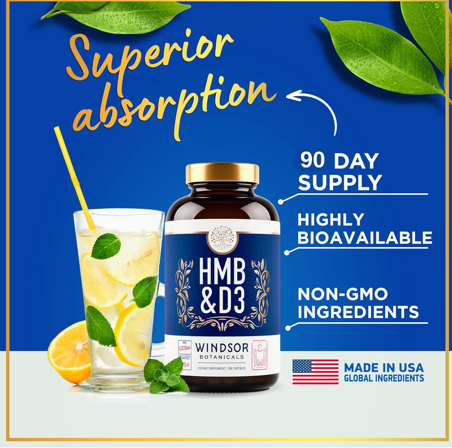 HMB and Vitamin D3 Supplement Capsules – B-Hydroxy B-Methylbutyrate ...