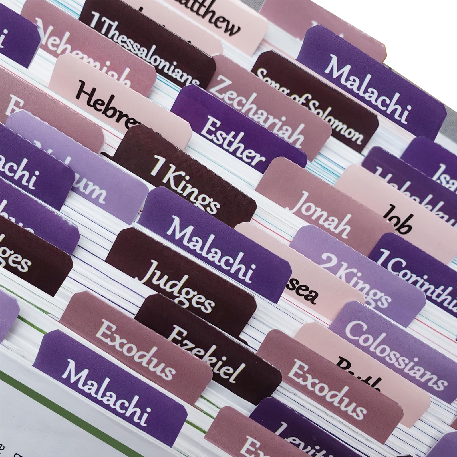 Snapklik.com : Bible Tabs, Large Print Laminated Bible Tabs For Women ...