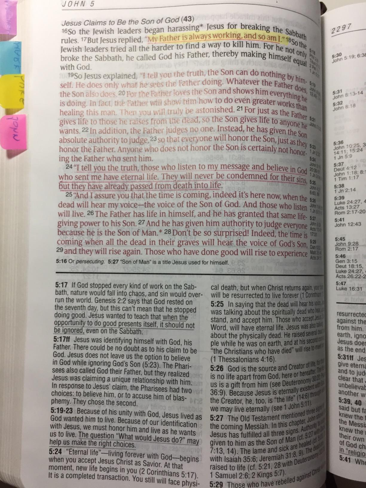 NLT Life Application Study Bible, Third Edition: New Living Translation ...