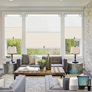 Amazon.com: Weffort Motorized Day Night Cellular Shades,Work with Remote Control,Top Down Bottom ...
