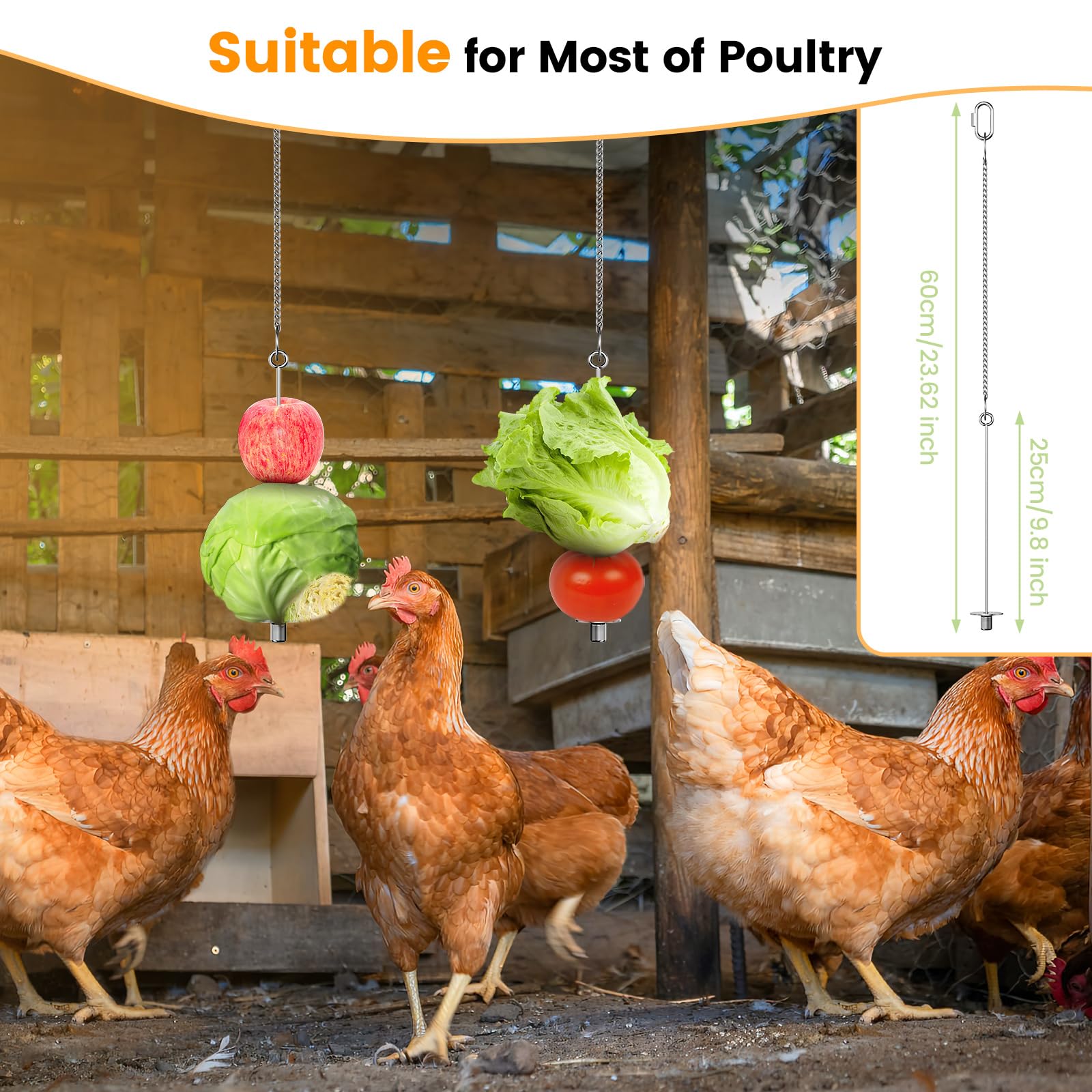 Snapklik.com : 4 In 1 Stretchable Chicken Poop Scooper Chicken Coop ...