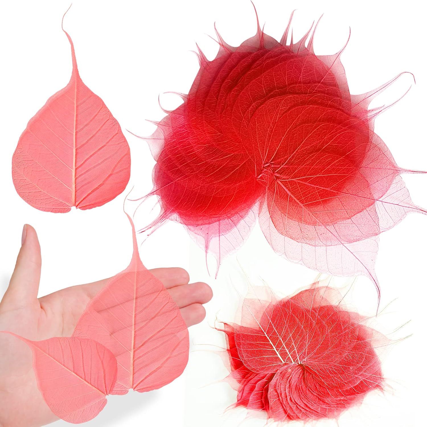 Amazon.com: Red Dried Skeleton Leaves for Resin, 42PCS Natural Real ...