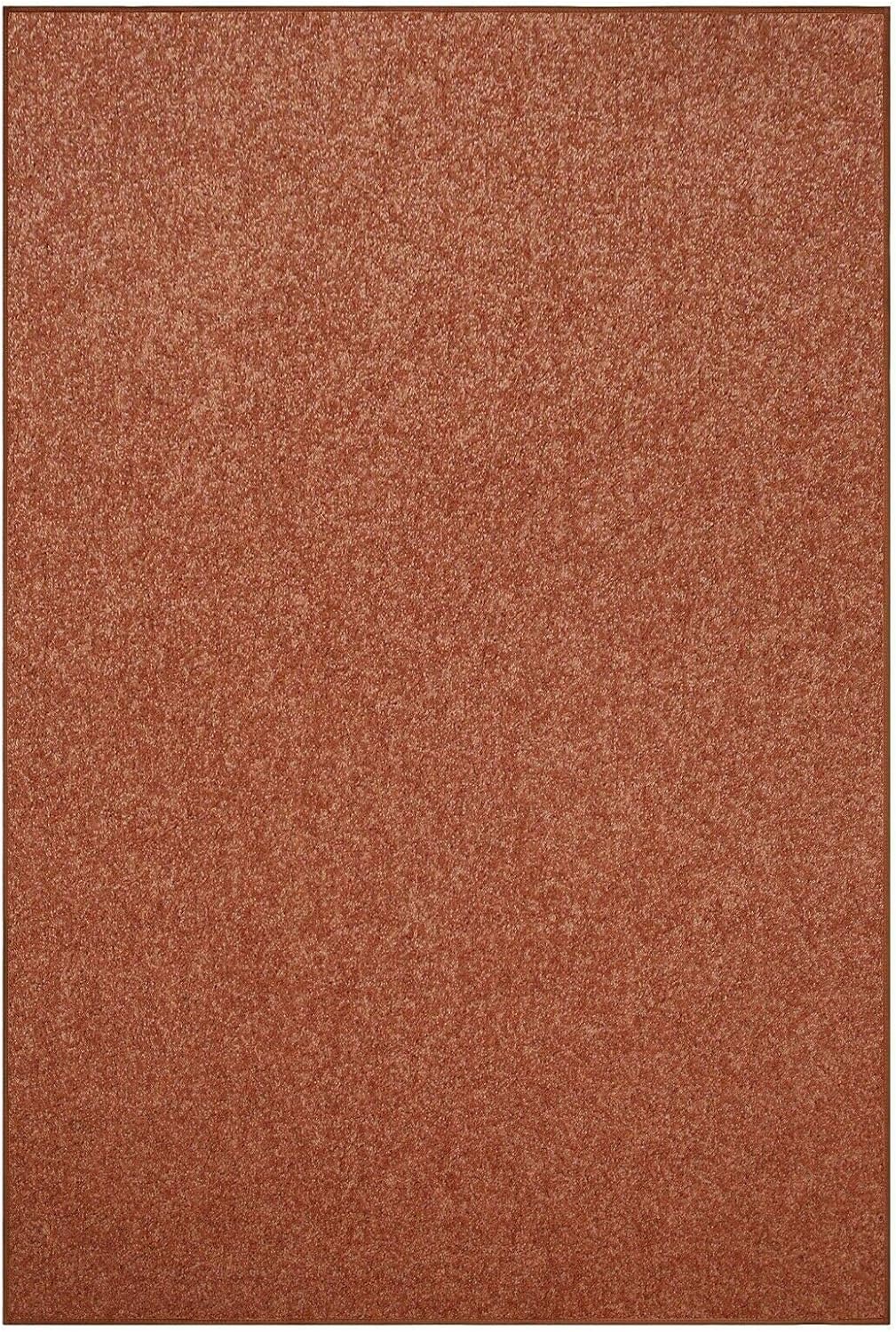 Amazon.com: Modern Plush Solid Color Rug - Rust, 2' x 3', Pet and Kids ...
