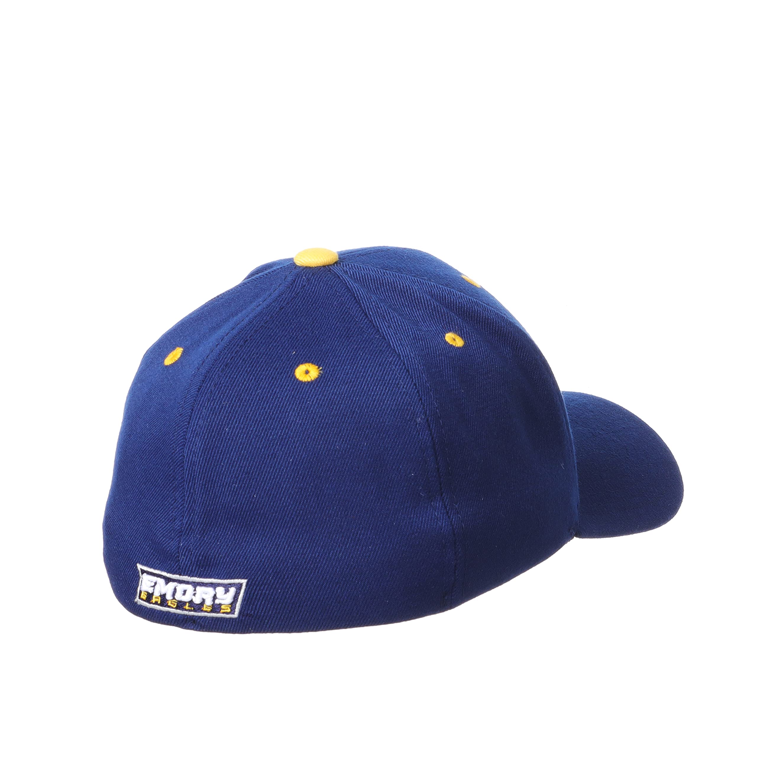 Snapklik.com : Mens Standard Stretch Fitted Hat Team Color