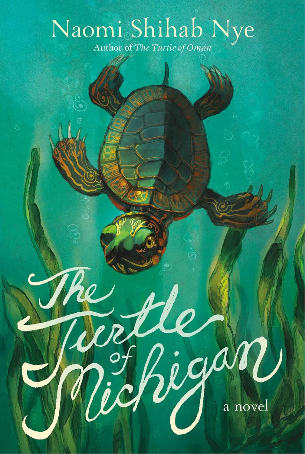 The Turtle of Michigan: A Novel: Nye, Naomi Shihab: 9780063014169 ...