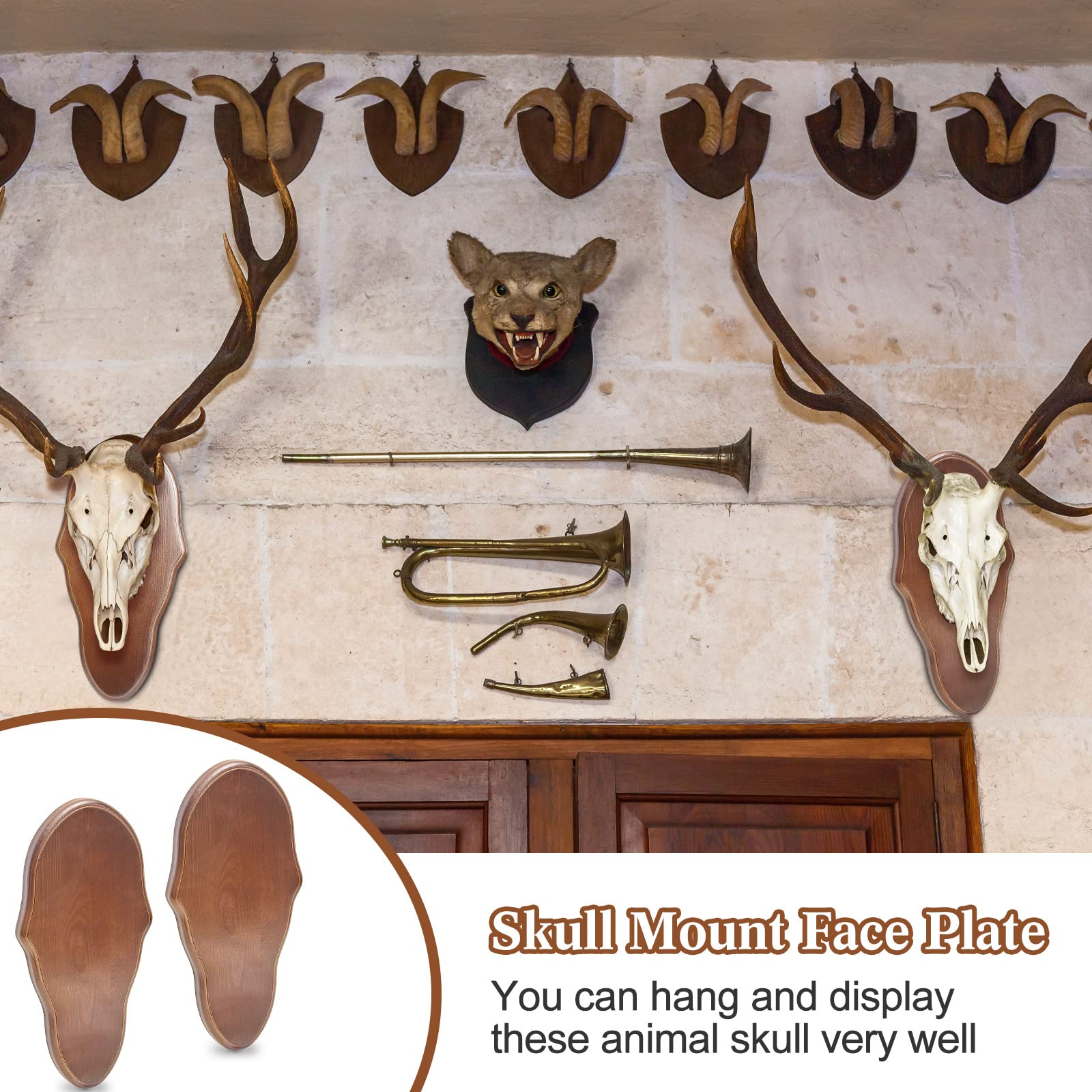 Snapklik.com : 2 Pcs Deer Mount Plaque Skull Face Plate Plaque European ...