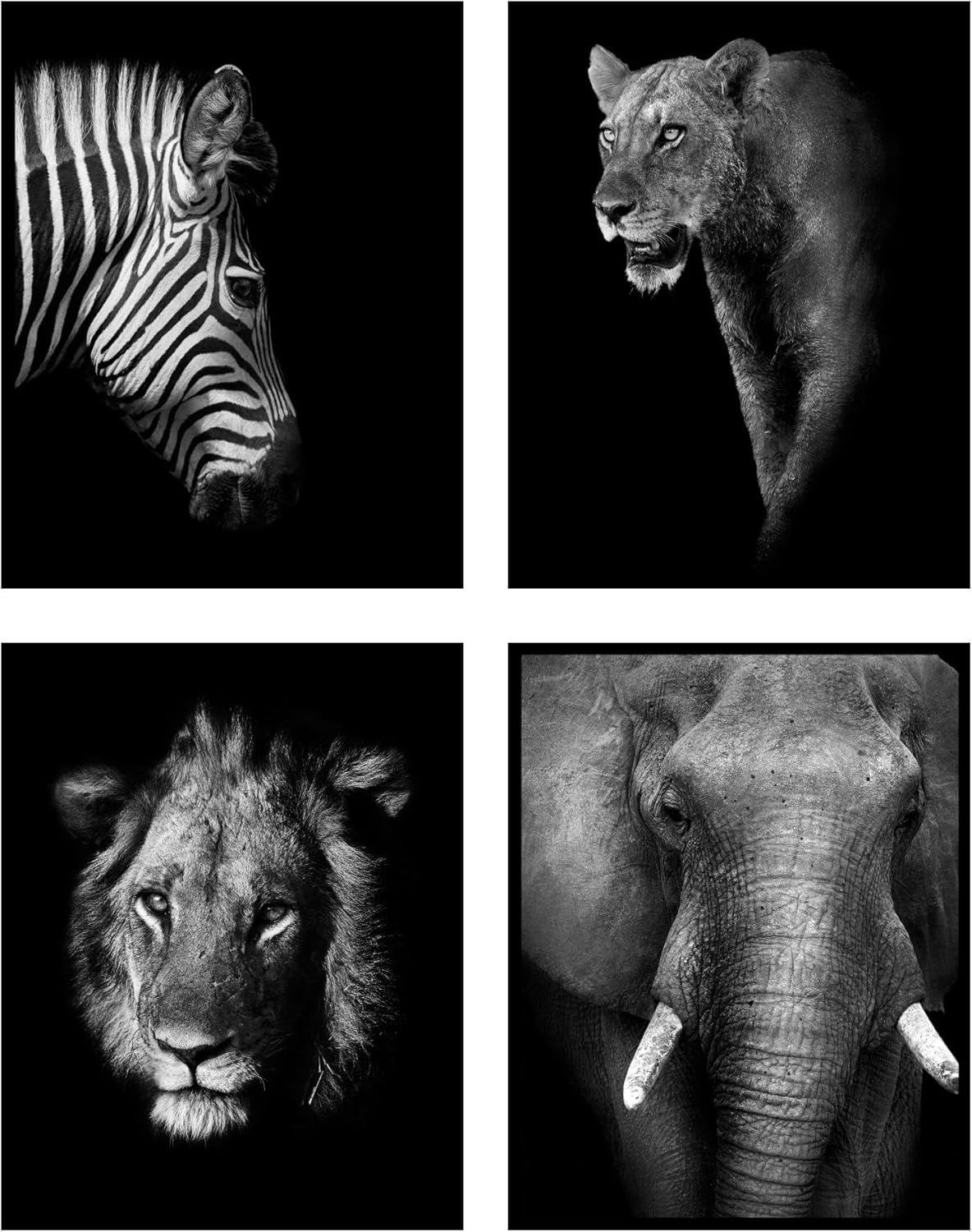Amazon.com: Insire Animal Poster, Elephant Poster, Safari Pictures Wall ...
