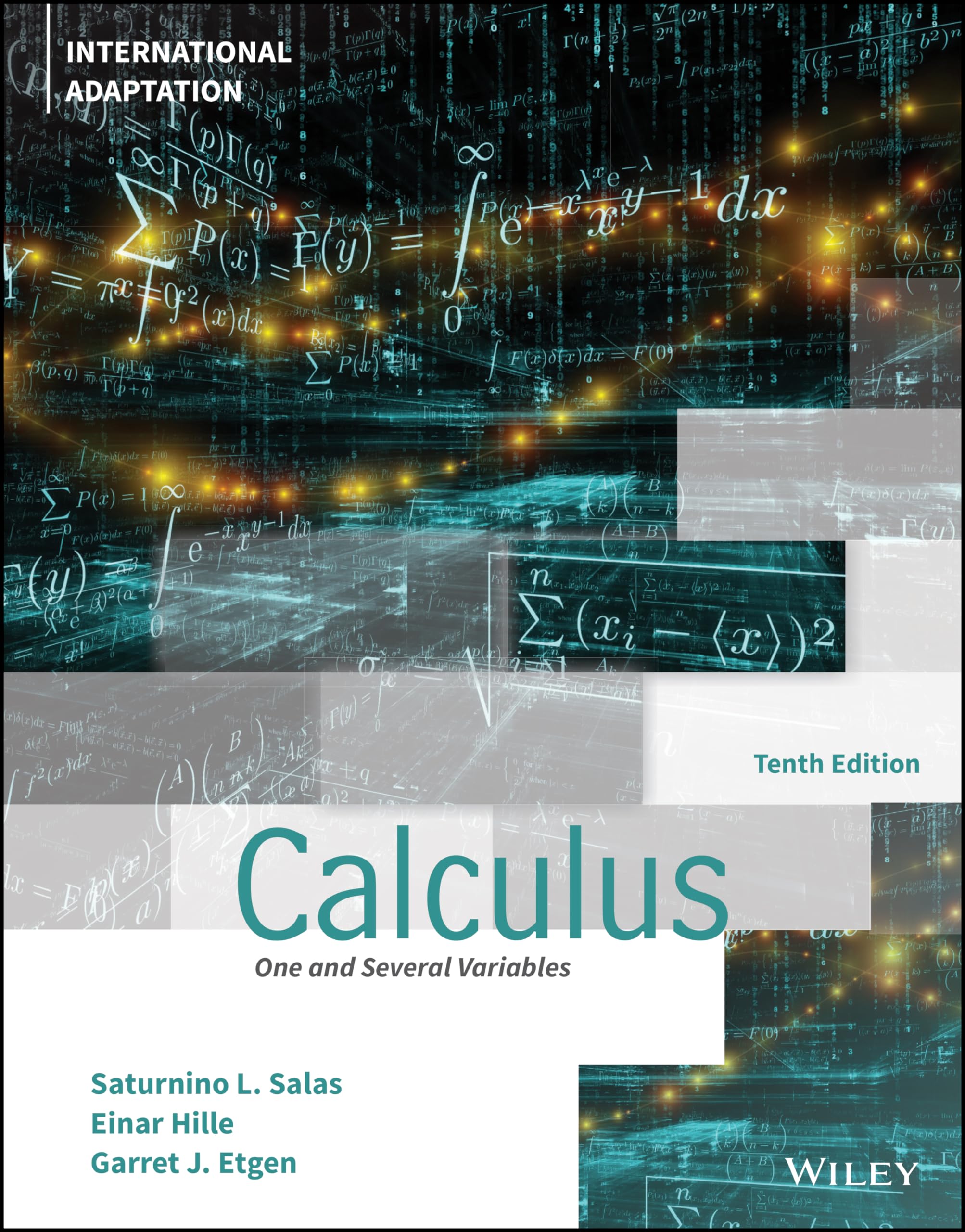 Calculus: One and Several Variables: Salas, Saturnino L., Etgen, Garret ...