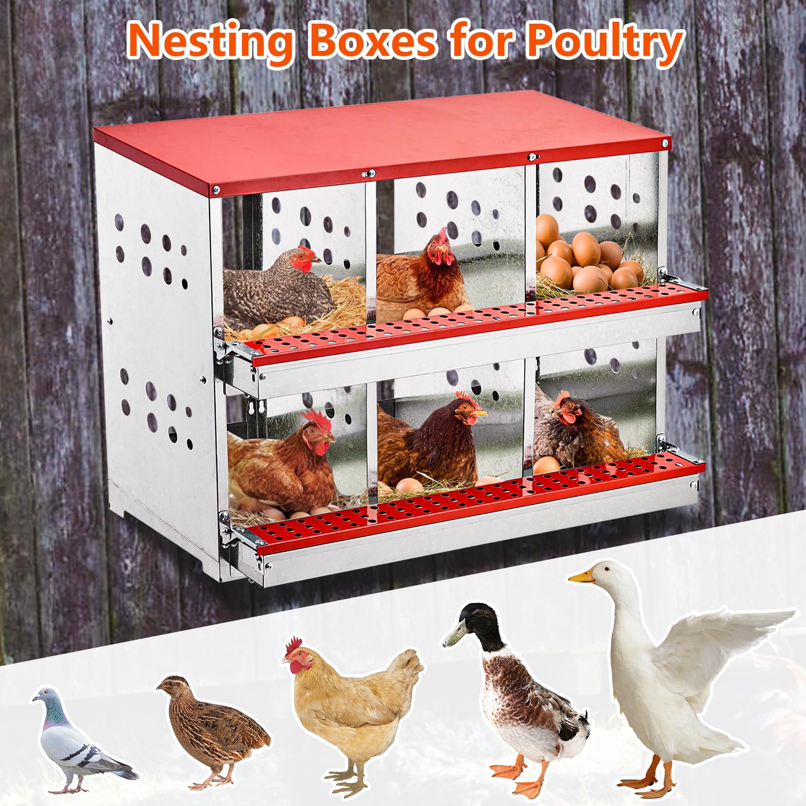 Snapklik.com : Nesting Boxes For Chickens, 6 Compartment Roll Out Away ...