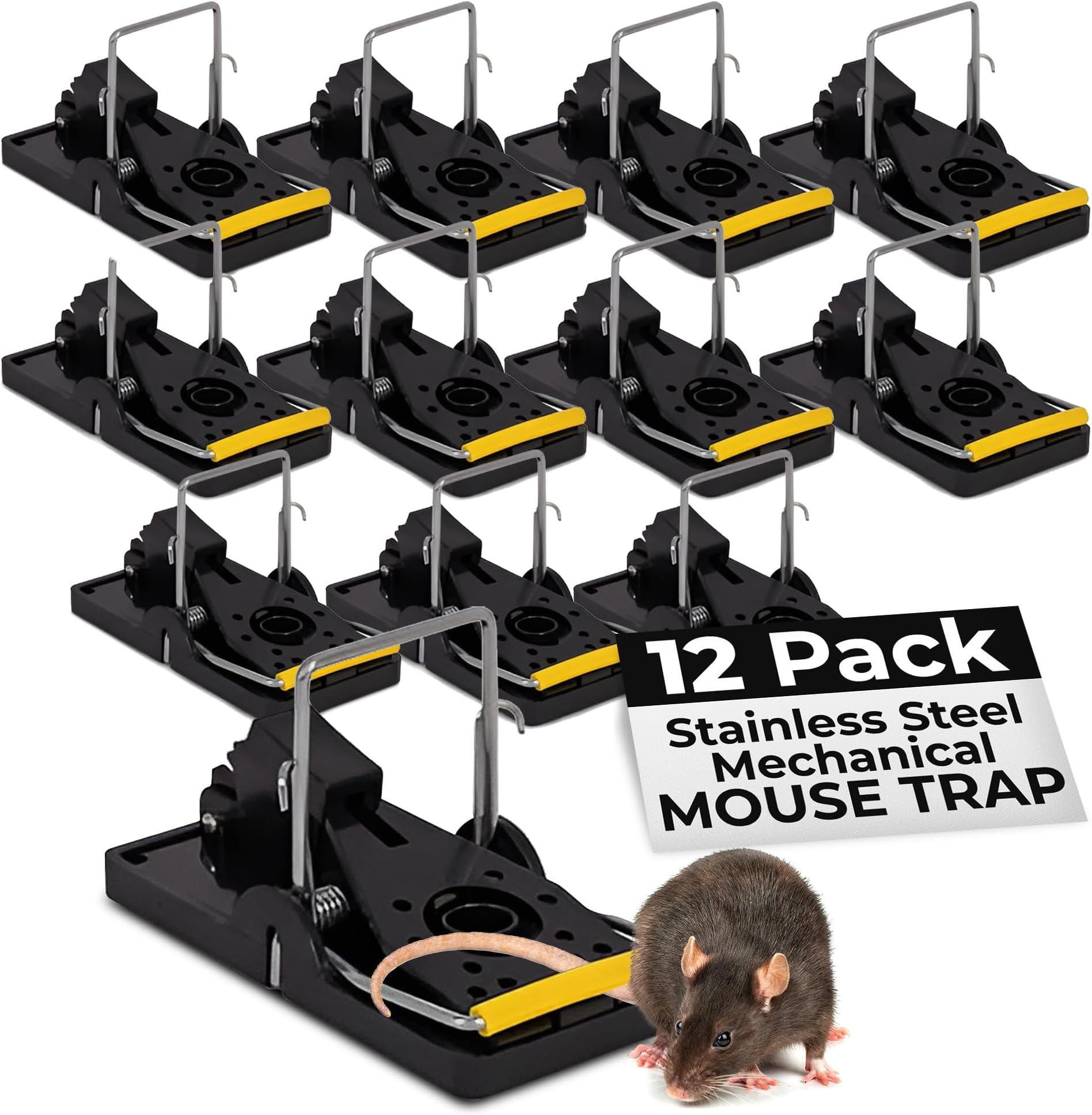 Amazon.com : Qualirey 24 Pcs Mouse Traps Plastic Mice Trap House Indoor ...