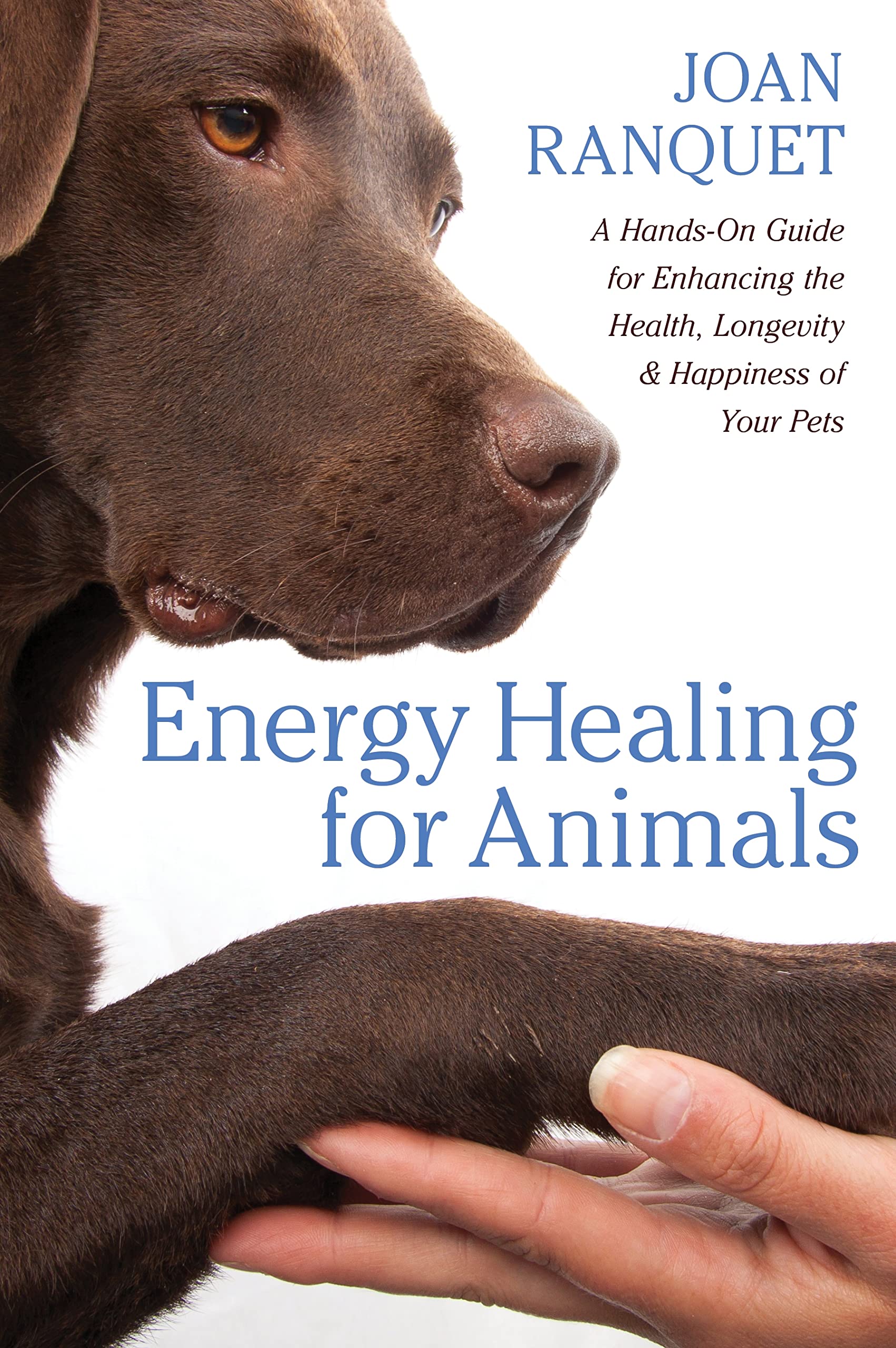 Spiritual Healing Animals
