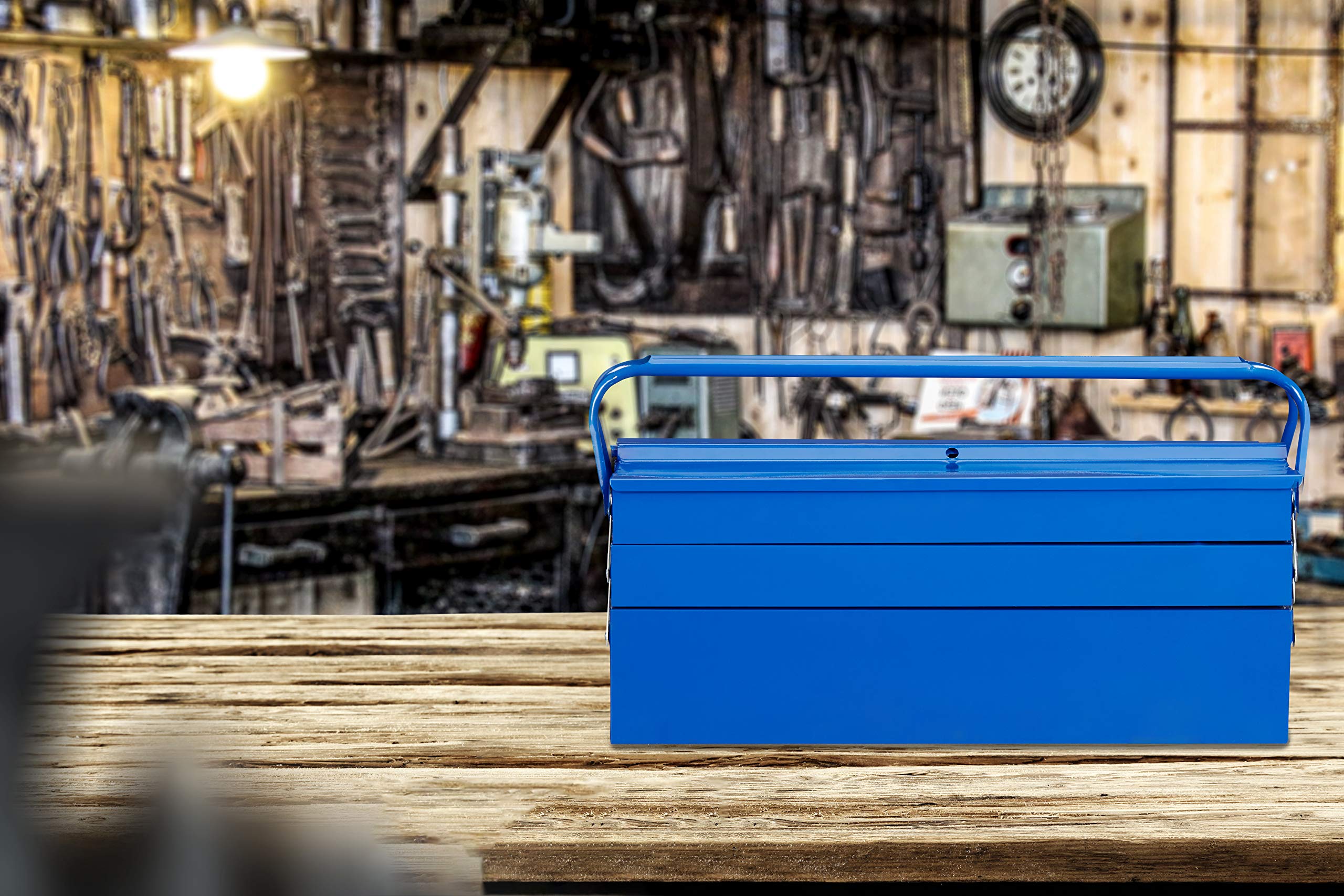 Buy Relaxdays Empty Tool Box 5 Compartments with Carry Handle Metal ...