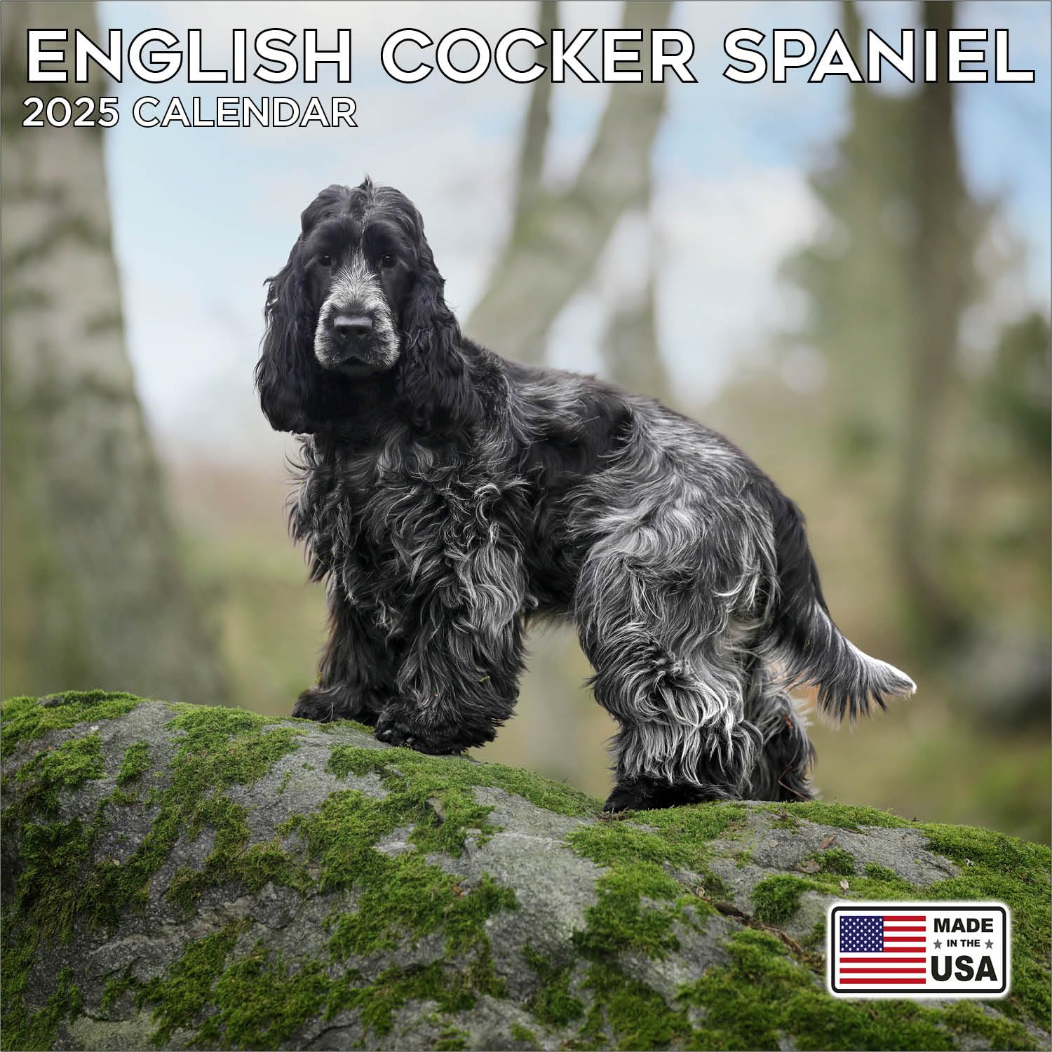 2025 English Cocker Spaniel Calendar - Dog Breed Wall Calendar - 12 x ...