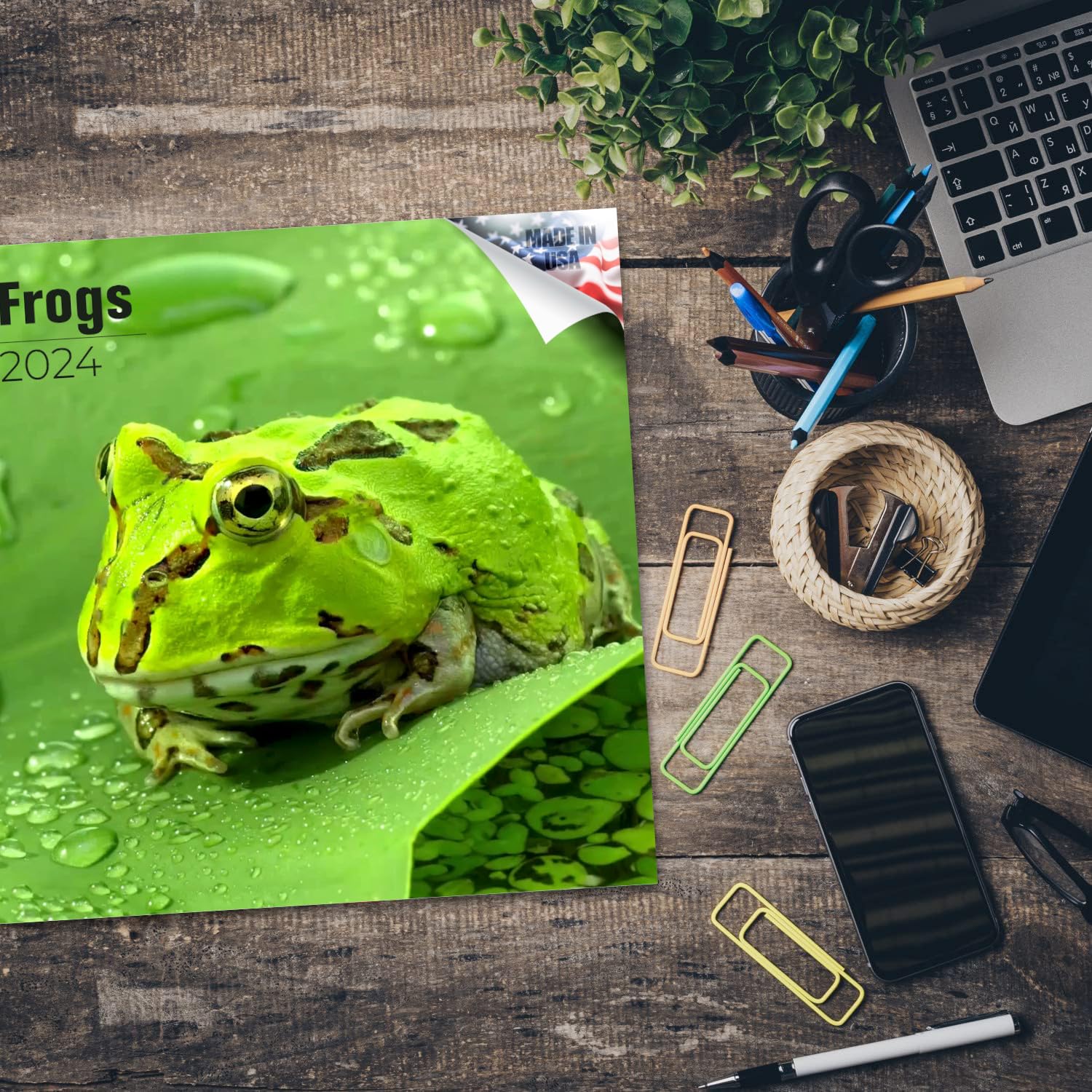 Snapklik.com : 2023 2024 Frogs - Reptile Monthly Wall Calendar - 12 X ...