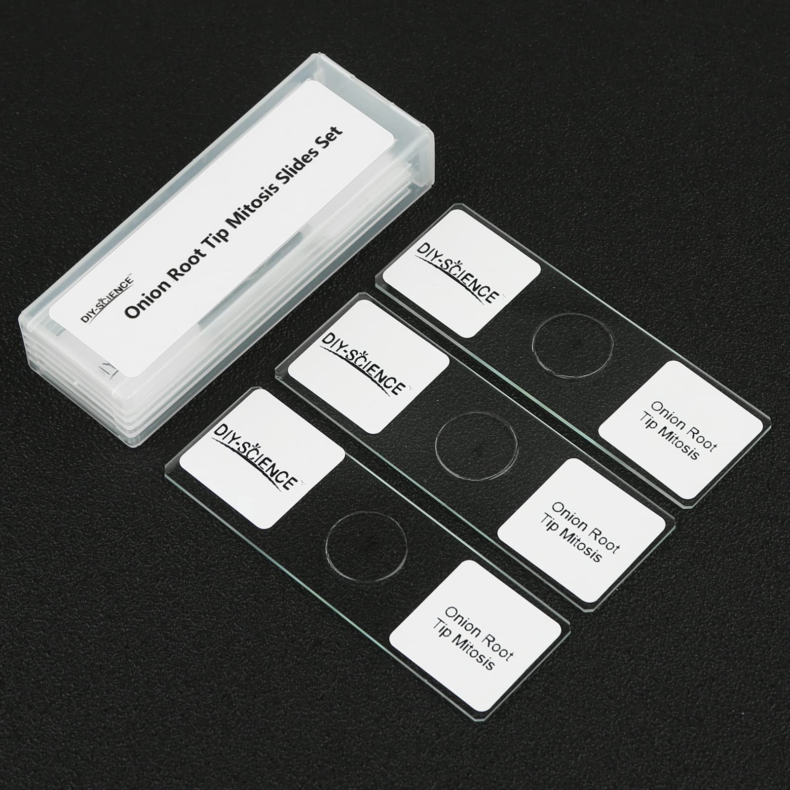 Snapklik.com : Onion Root Tips Cell Mitosis Microscope Slides Set, 5pcs ...