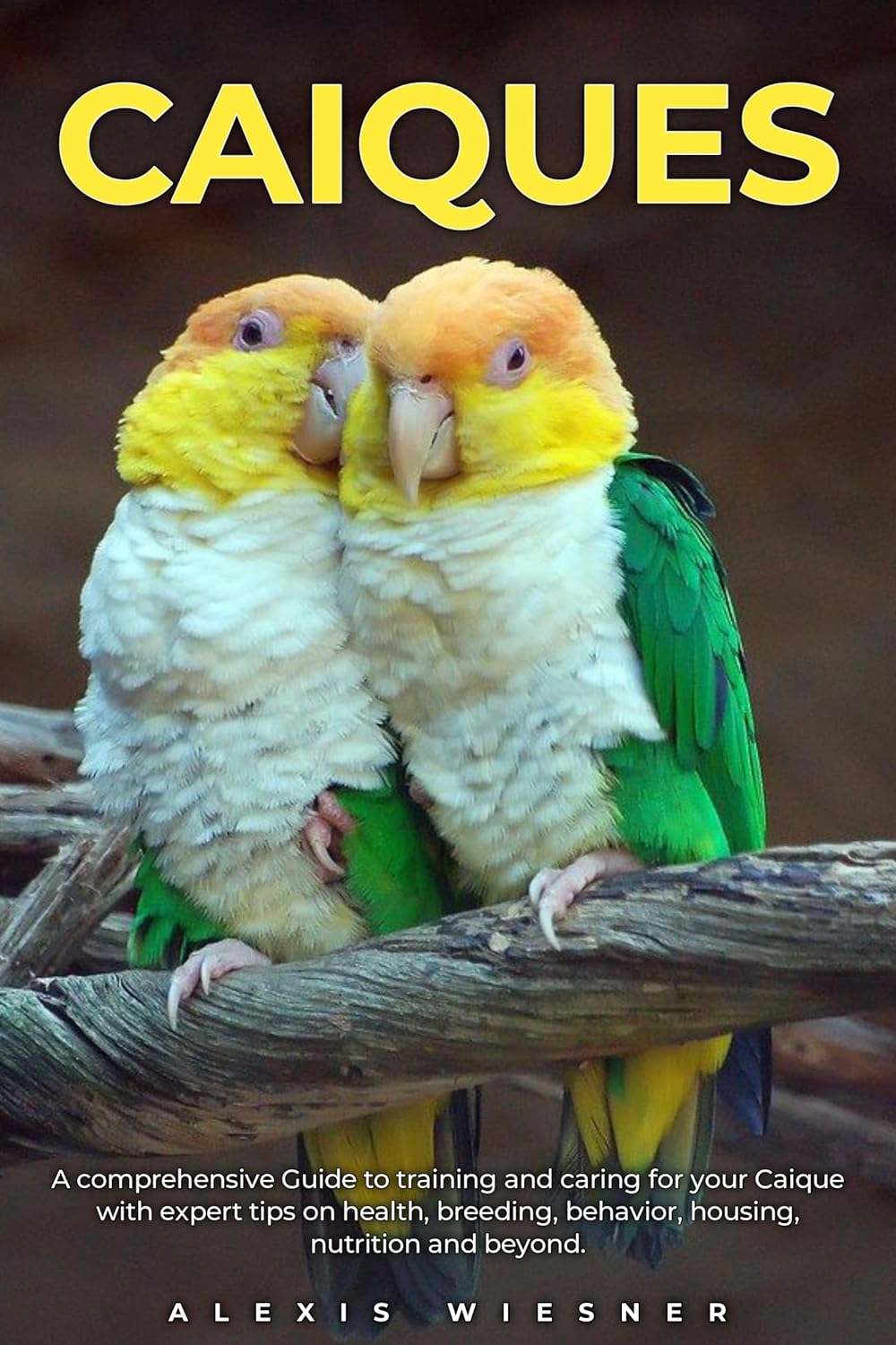 CAIQUES: A comprehensive Guide to training and caring for your caique ...