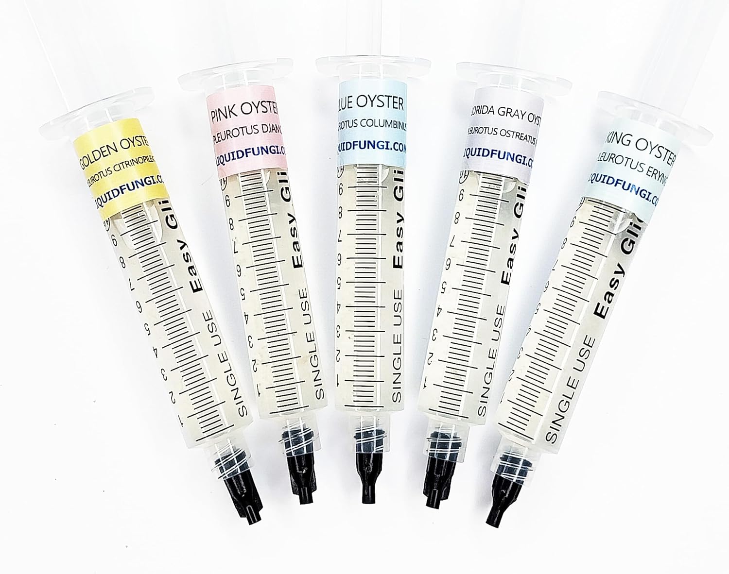 Amazon.com: Liquid Fungi Oyster Mushroom Liquid Culture Syringe 5 Pack ...