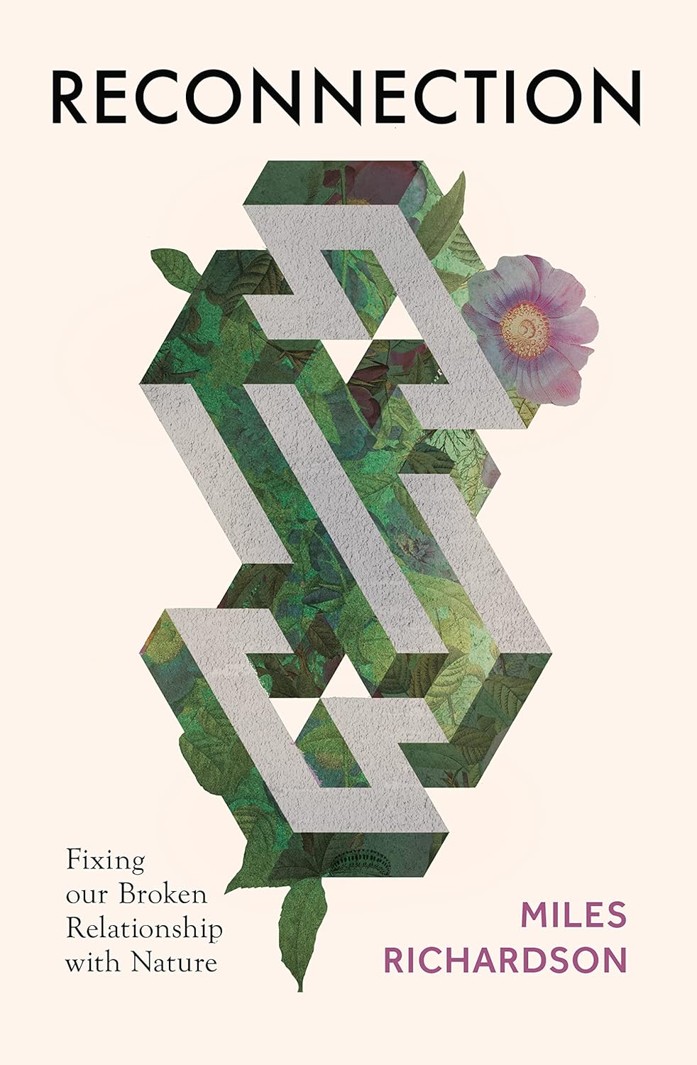 Reconnection: Fixing our Broken Relationship with Nature eBook ...