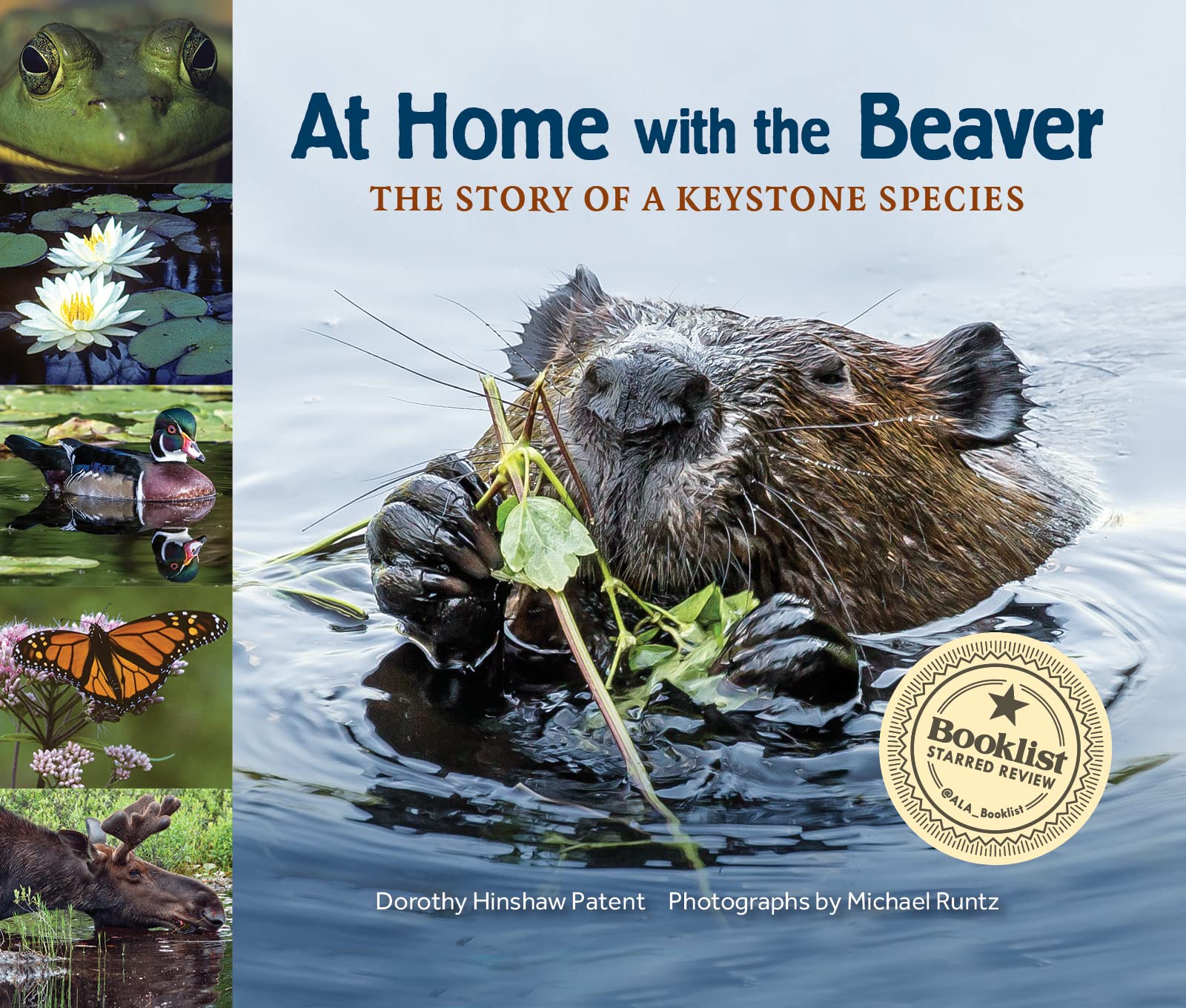 At Home with the Beaver: A Story of a Keystone Species (The Story of a ...