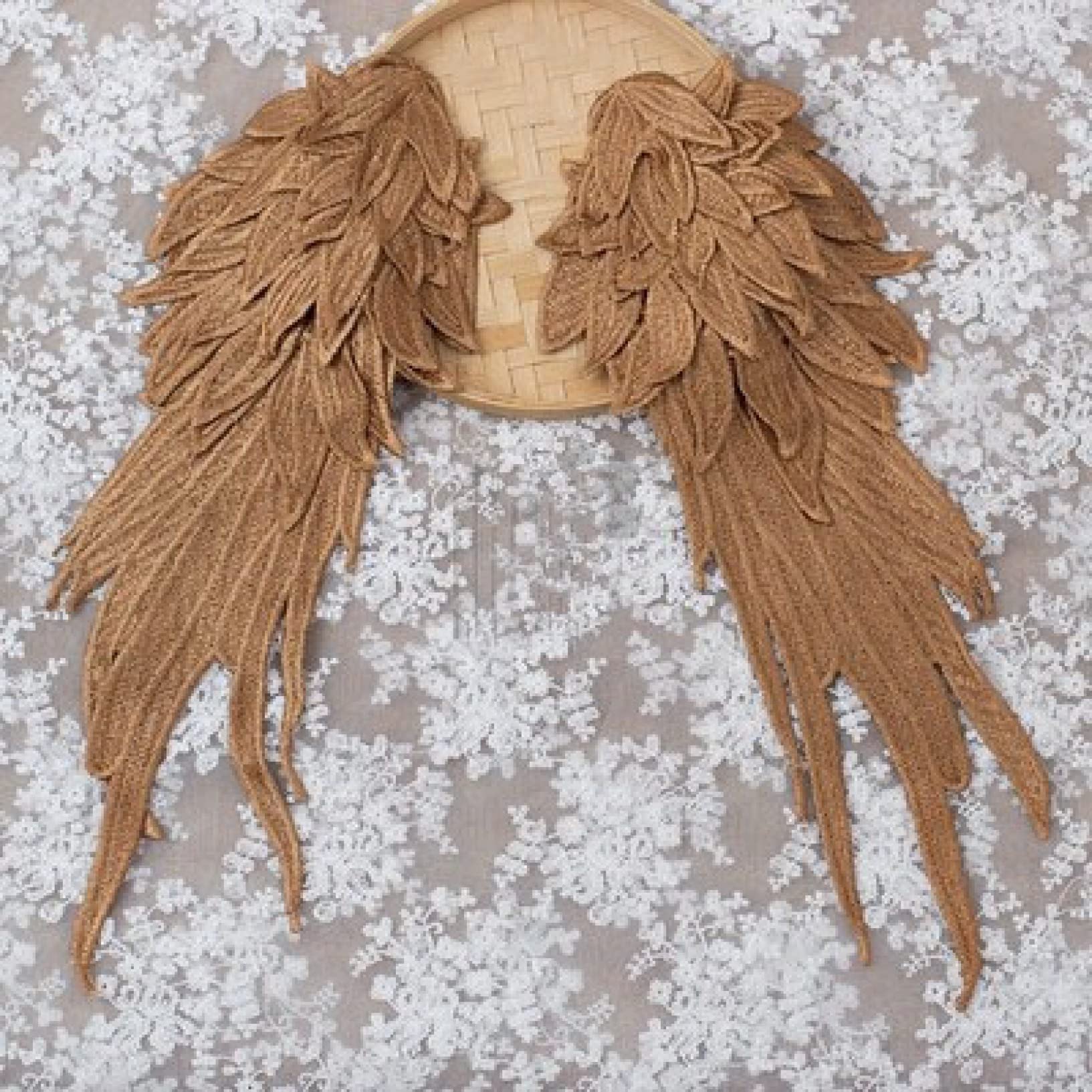 Diy Lace Angel Wings