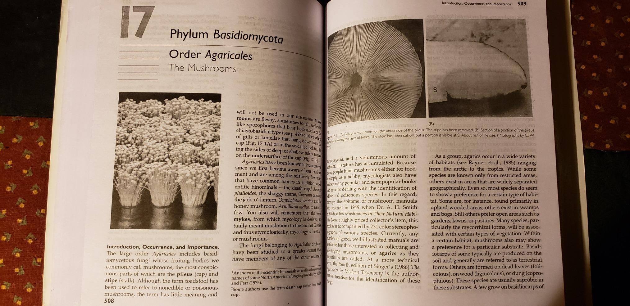 Introductory Mycology, 4Th Ed: C.J. Alexopoulos: 9788126511082: Amazon ...