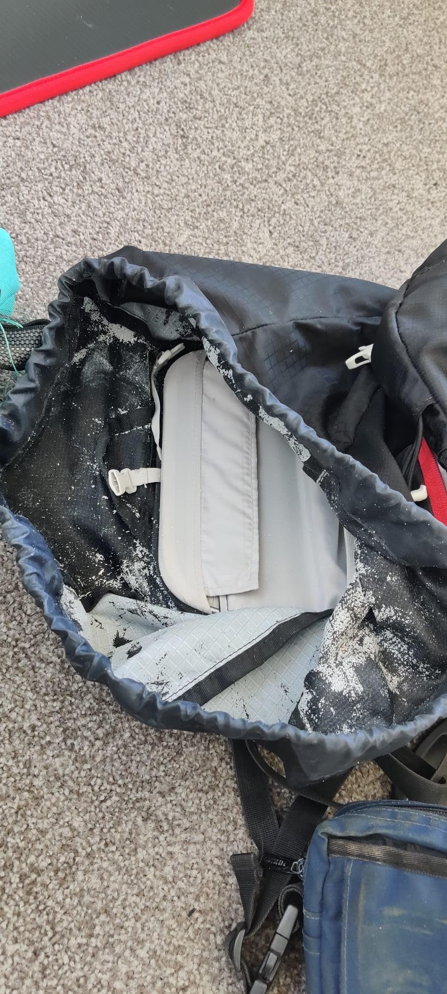 Amazon.com : Gregory Mountain Products Z 40 Backpack, Spark Red, Medium ...