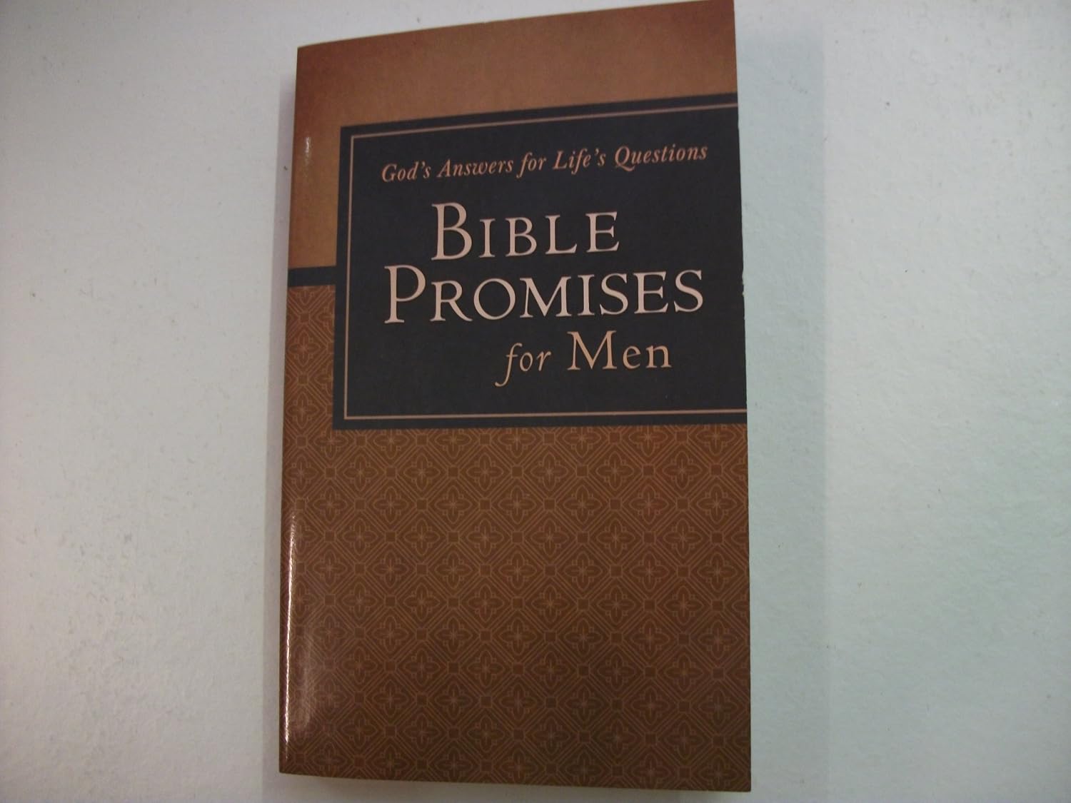 Amazon.com: Bible Promises for Men: God's Answers for Life's Questions ...