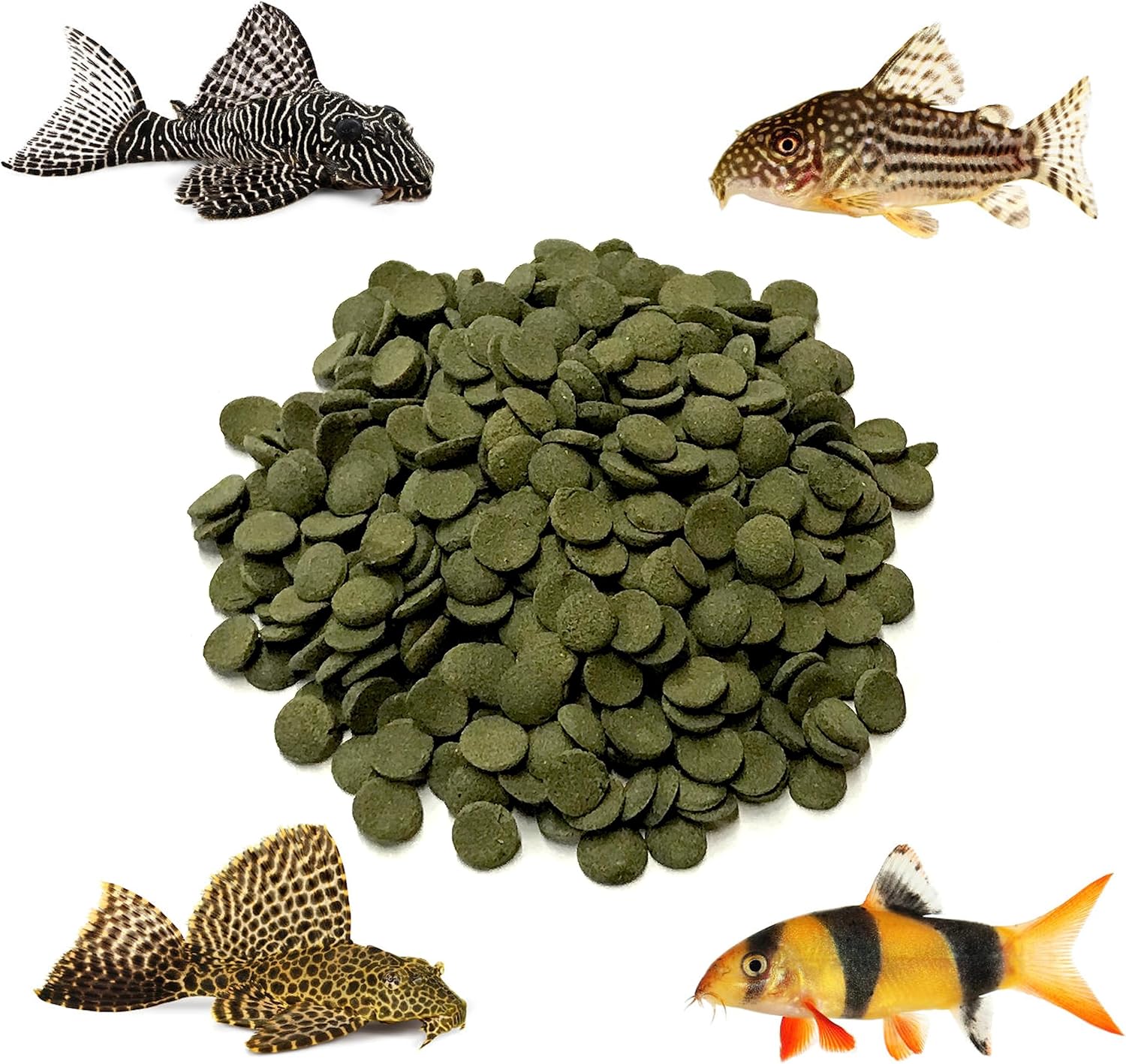 8 mm Alage Wafer - Sinking Algae Wafers That Liberia | Ubuy