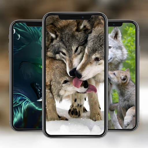Wolf Wallpapers - App on Amazon Appstore