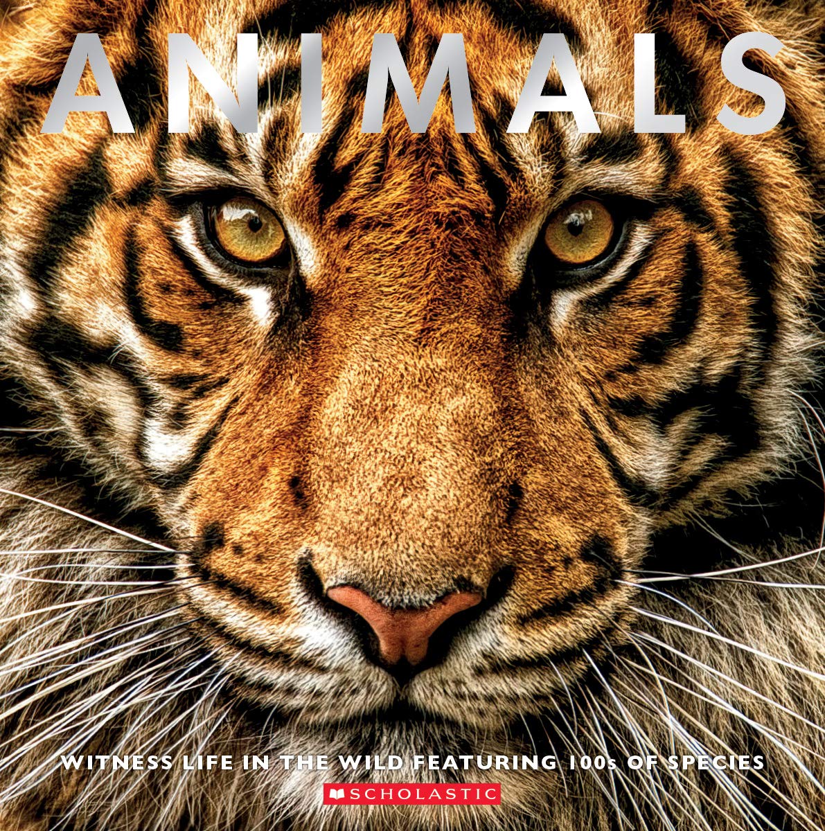 Animals: Witness Life in the Wild Featuring 100s of Species: Scholastic ...