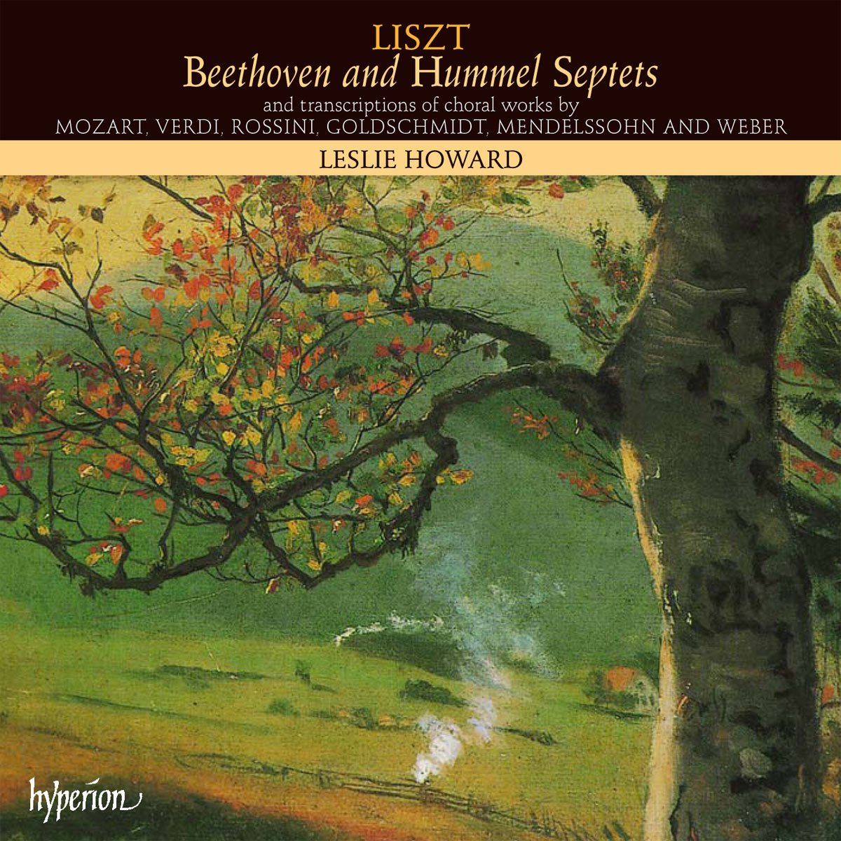 Liszt: Complete Piano Music Vol.24: Liszt, Franz, Liszt, Franz, Franz ...