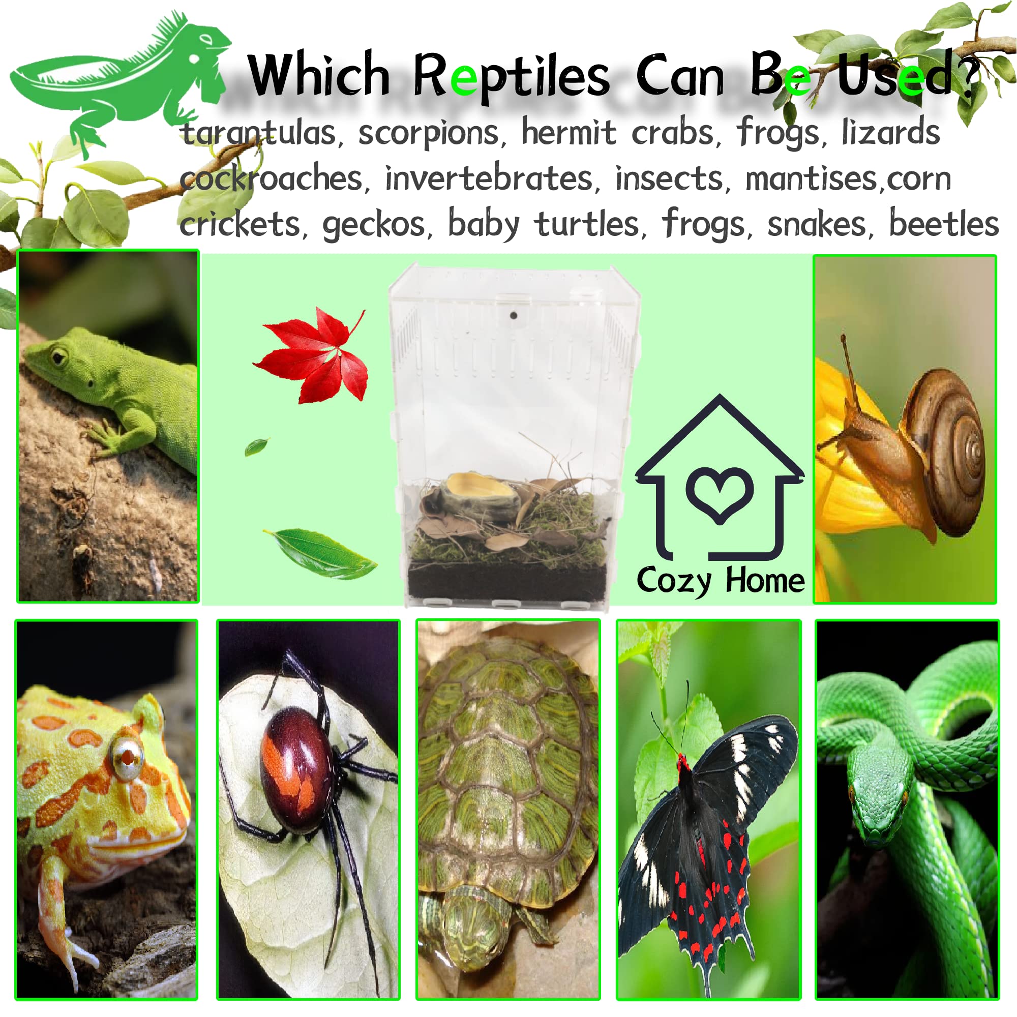 Snapklik.com : 12x8x6 Inch Magnetic Acrylic Reptile Case, Vertical ...