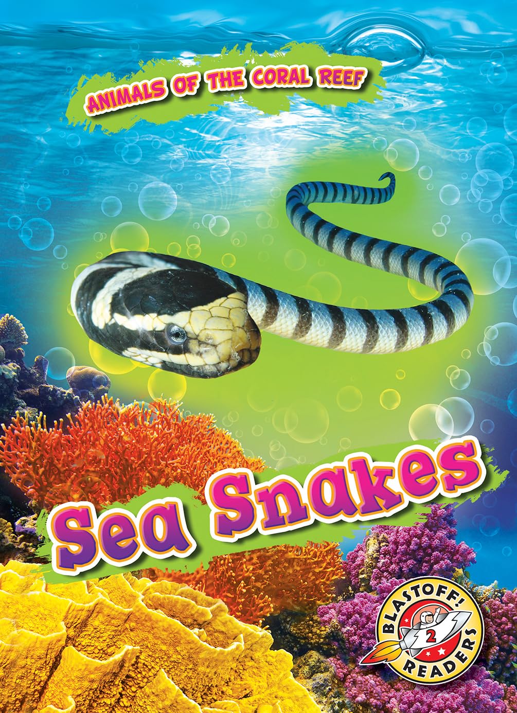 Sea Snakes (Animals of the Coral Reefs): Lindsay Shaffer: 9781644871348 ...