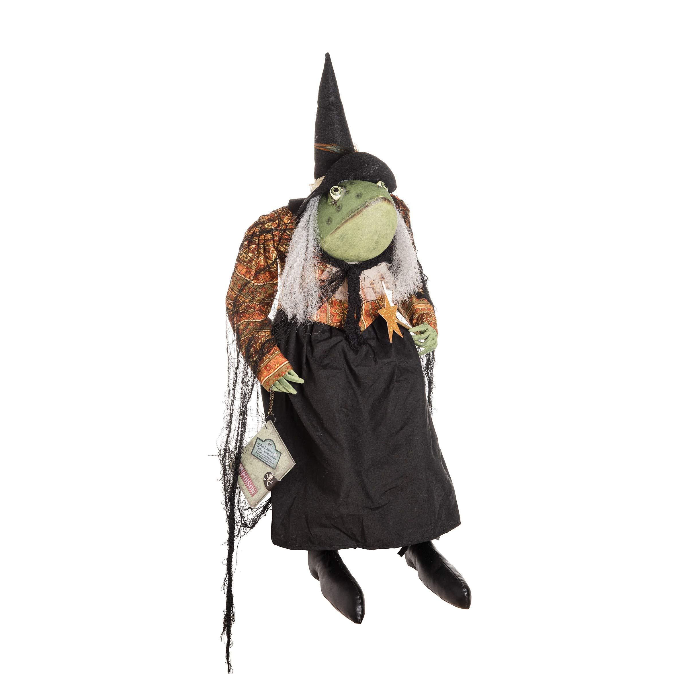 Amazon.com: GALLERIE II Halloween Winifred Toad Frog Witch Large Folk ...