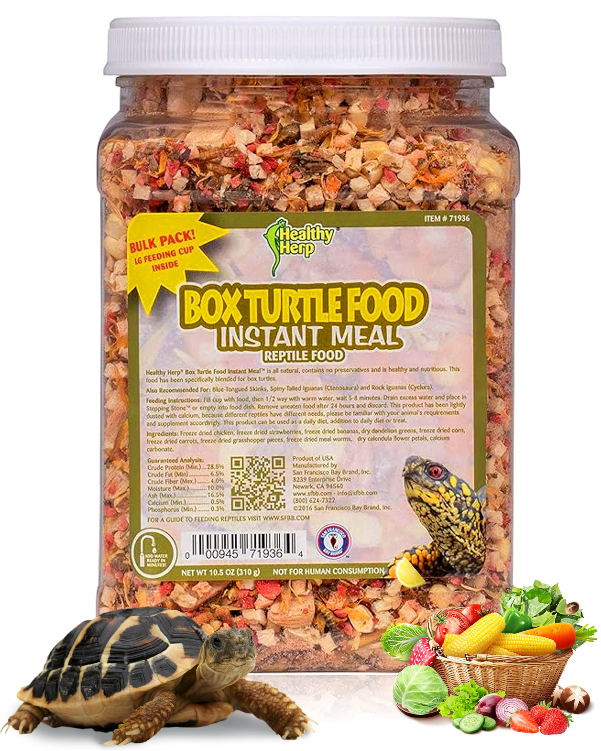Box Turtle Accessories