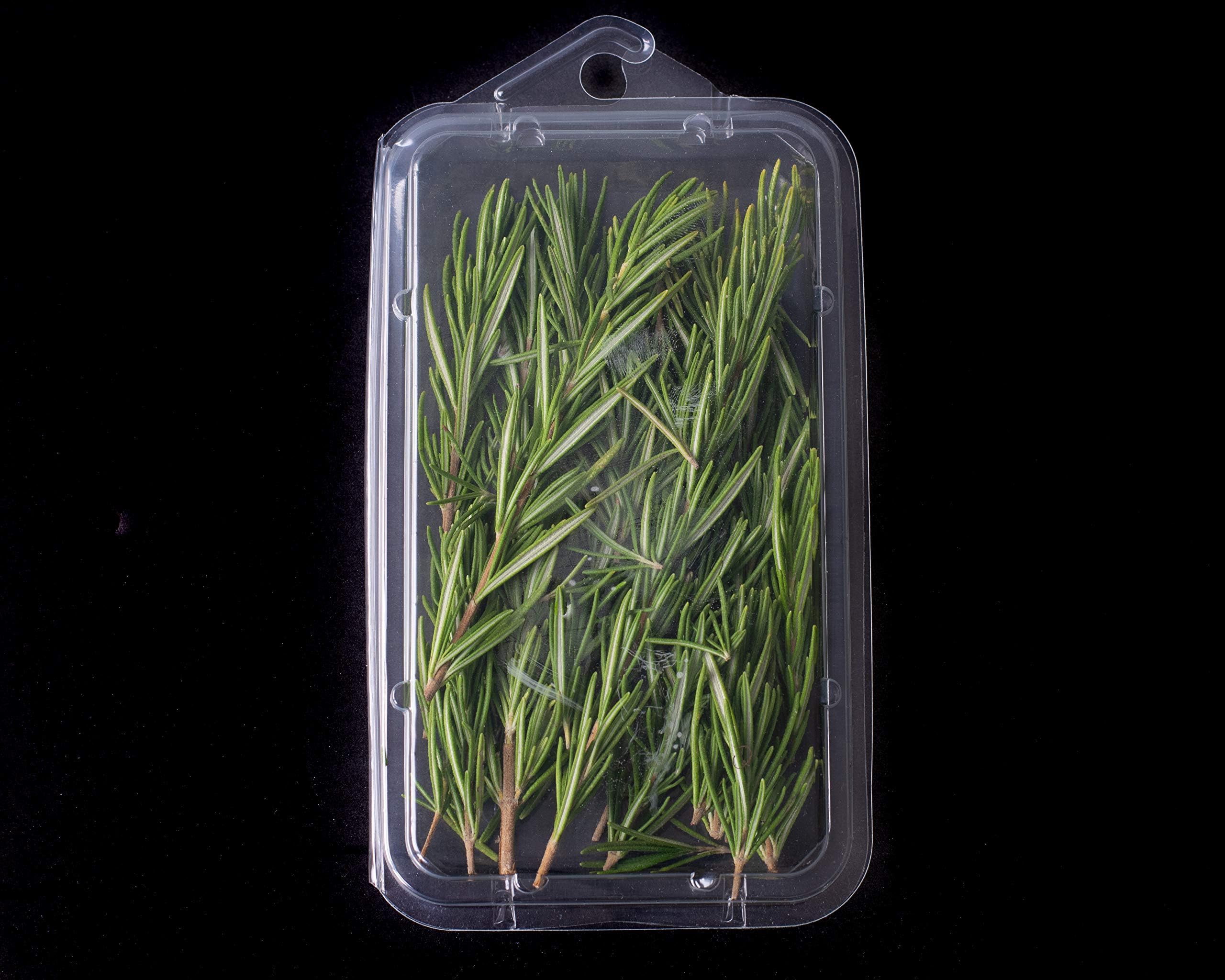 Amazon.com: JA Kitchens .75 Ounce Small Herb Clamshell Container ...