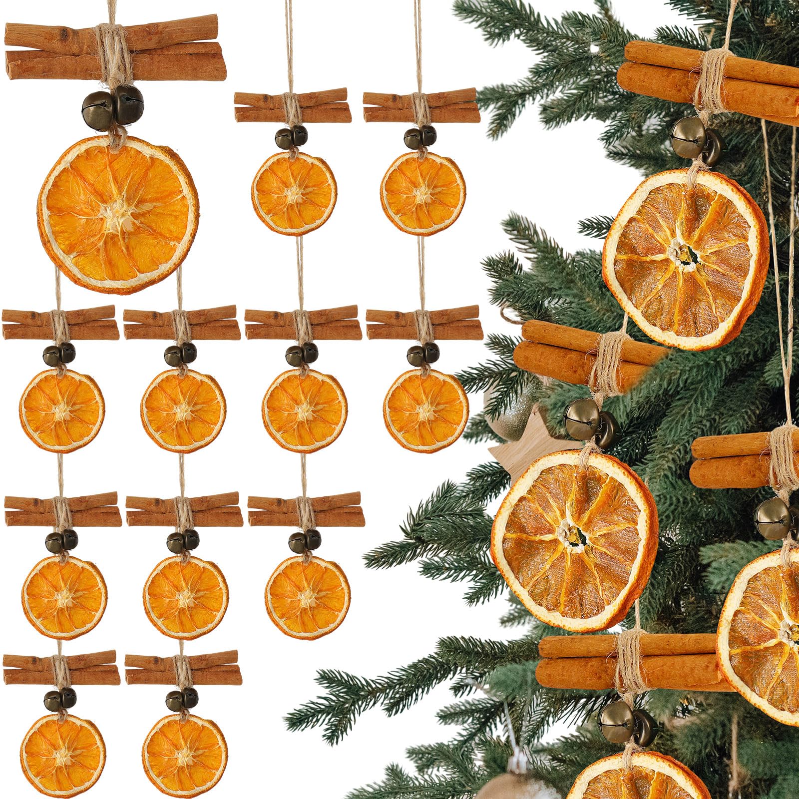Amazon.com: Motionchic 24 Pcs Dried Orange Slice Christmas Ornament ...