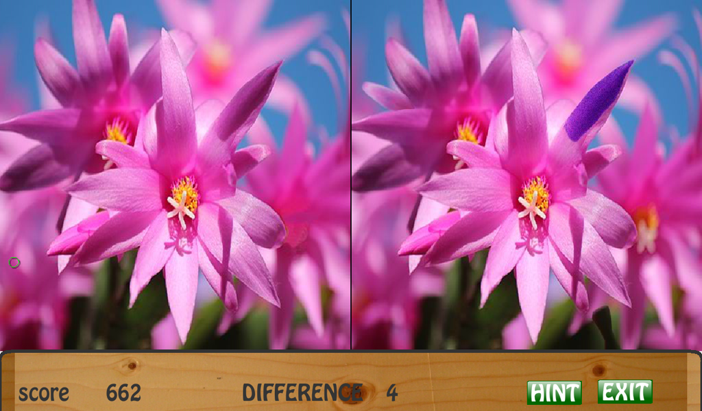 Flowers - Spot the Difference - App on Amazon Appstore
