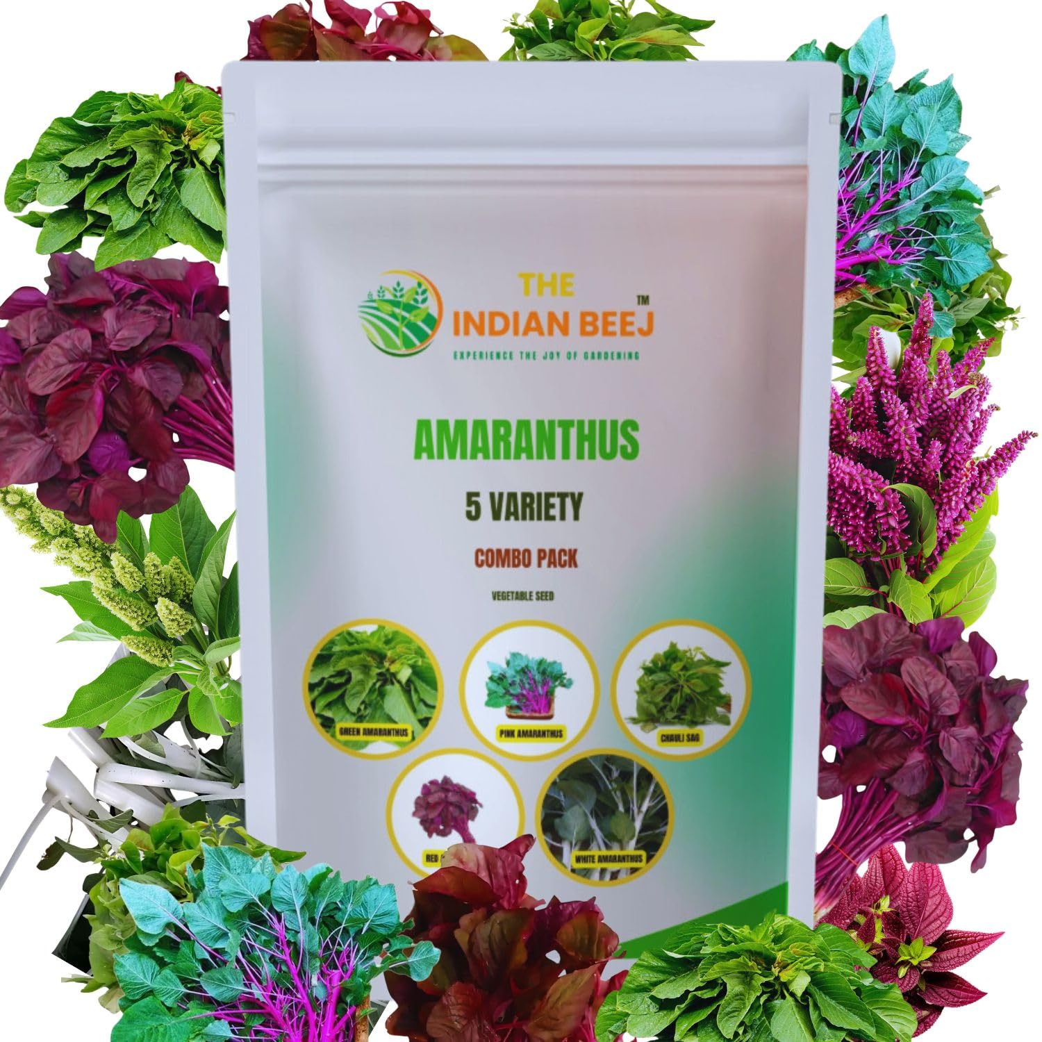 THE INDIAN BEEJ - Amaranthus Mix Seed Combo|5 variety |5000+ Seeds| For Home Garden | 5 variety ...
